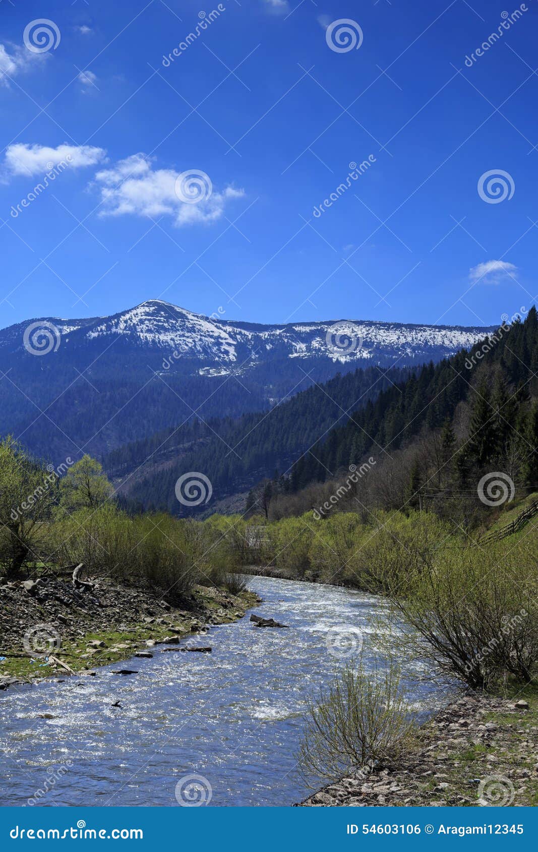 Mountain Valley with River in Carpathians Stock Photo - Image of rural ...