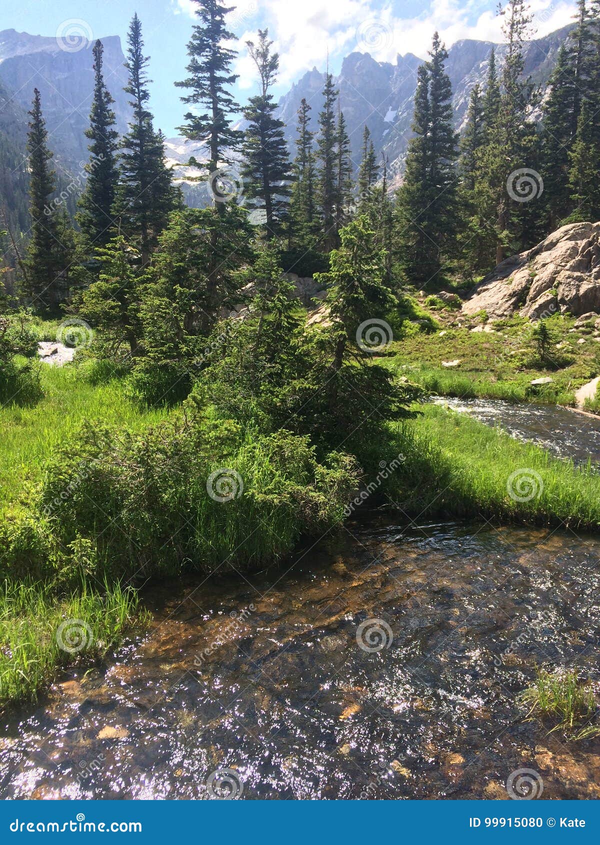 Mountain valley river stock photo. Image of mountains - 99915080