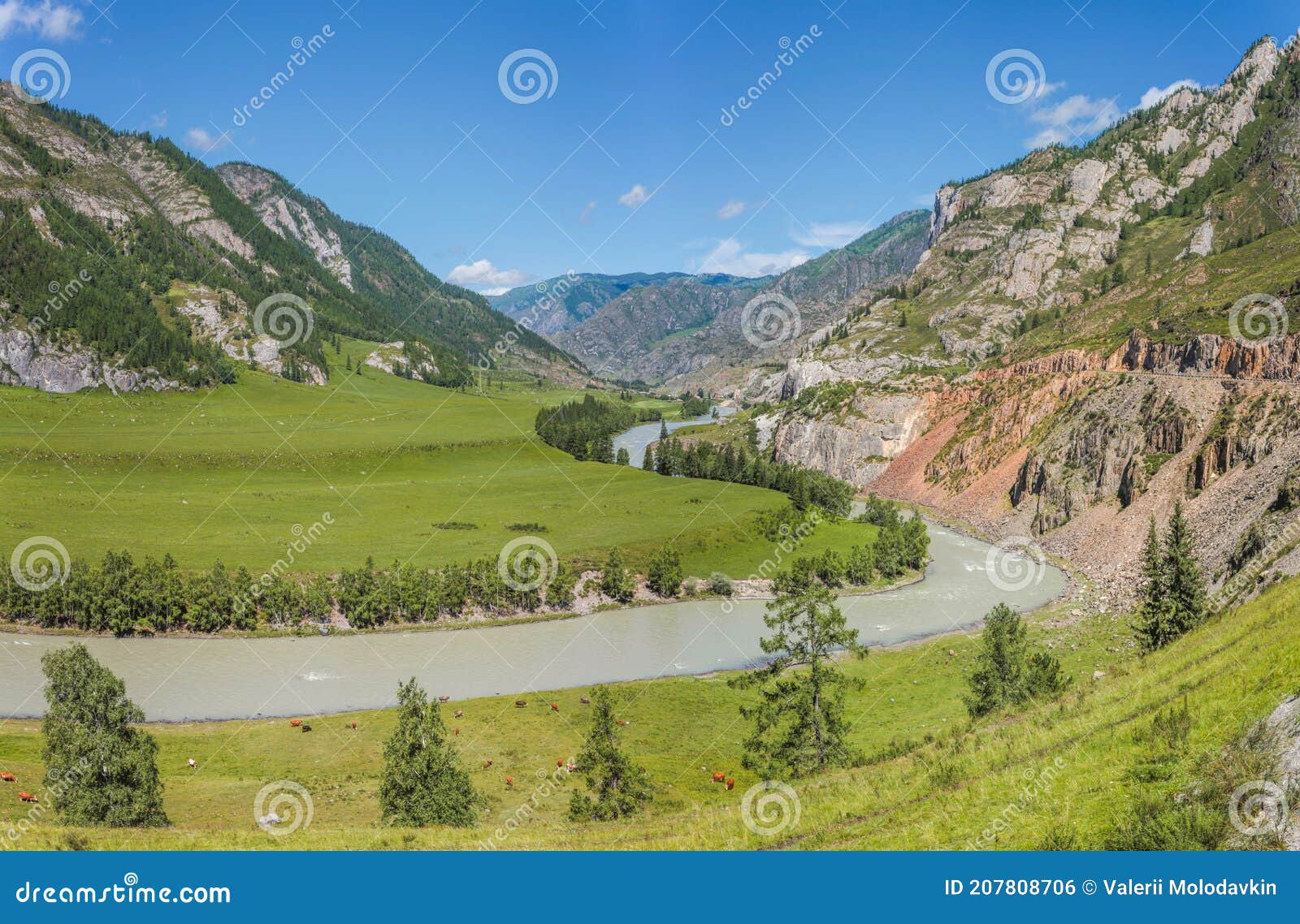 Mountain valley with river stock photo. Image of spring - 207808706