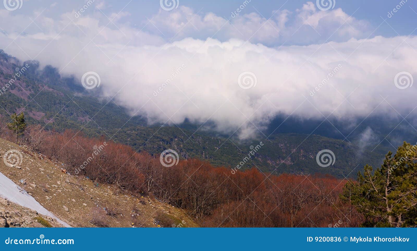 Mountain valley in spring stock photo. Image of mountain - 9200836