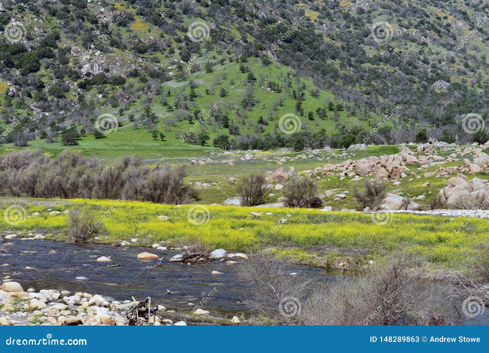 A Mountain Valley with a Stream Stock Image - Image of grasses, nature ...