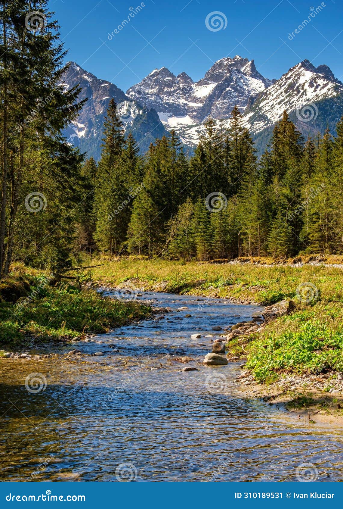 Mountain Valley with a Stream, Forest and Peaks in the Background ...