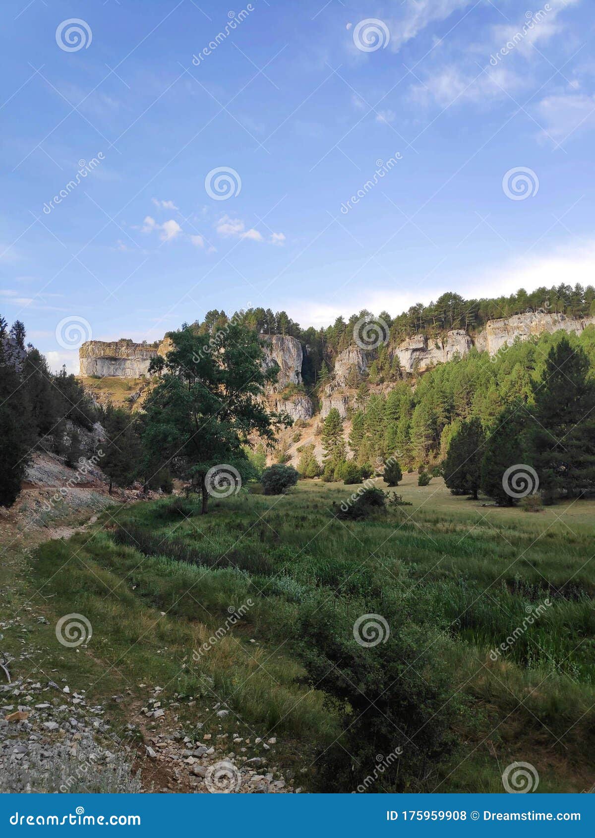 Mountain valley with trees stock photo. Image of valley - 175959908
