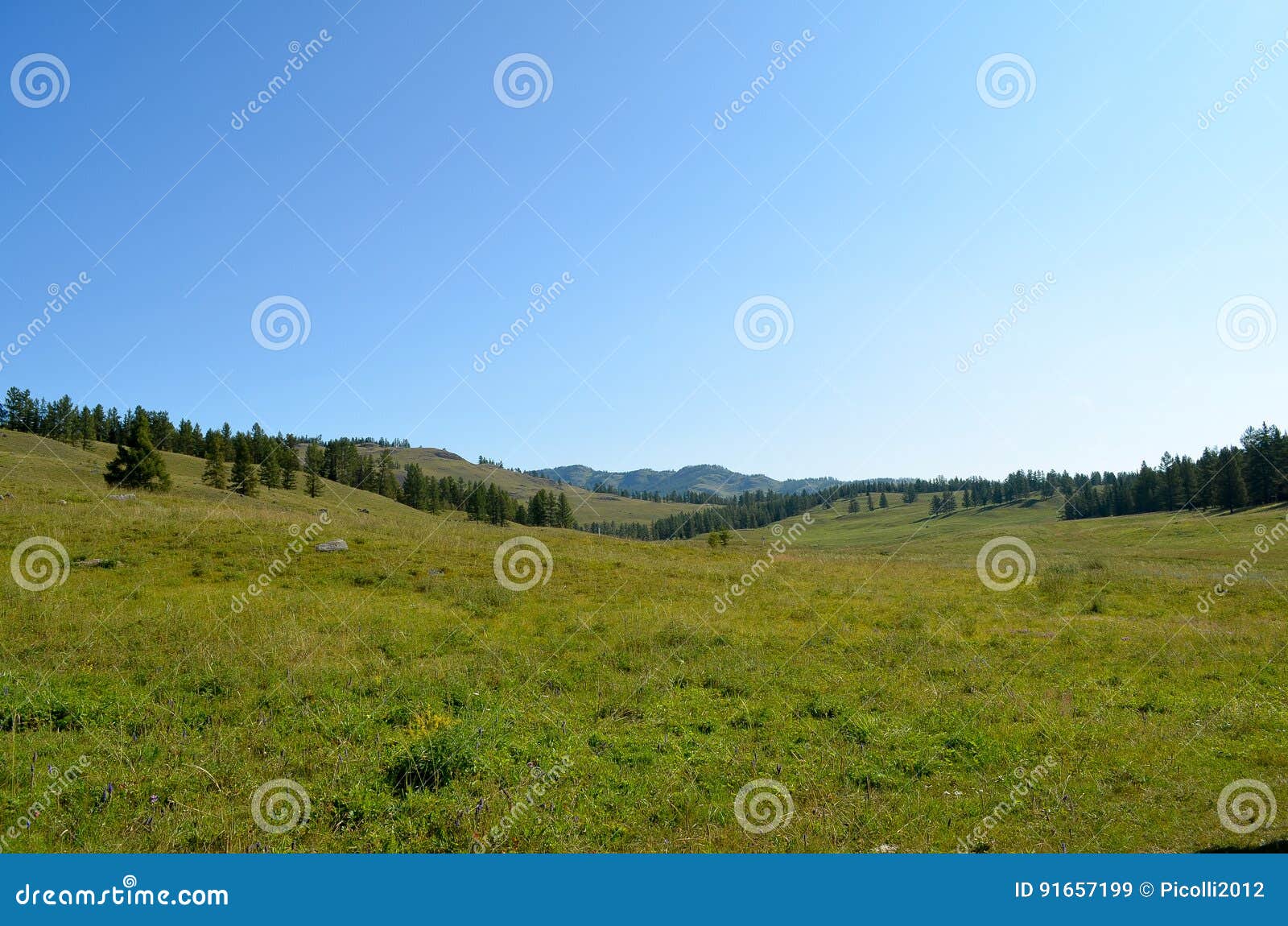 Mountain Valley with Trees. Stock Image - Image of alpedisiusi ...