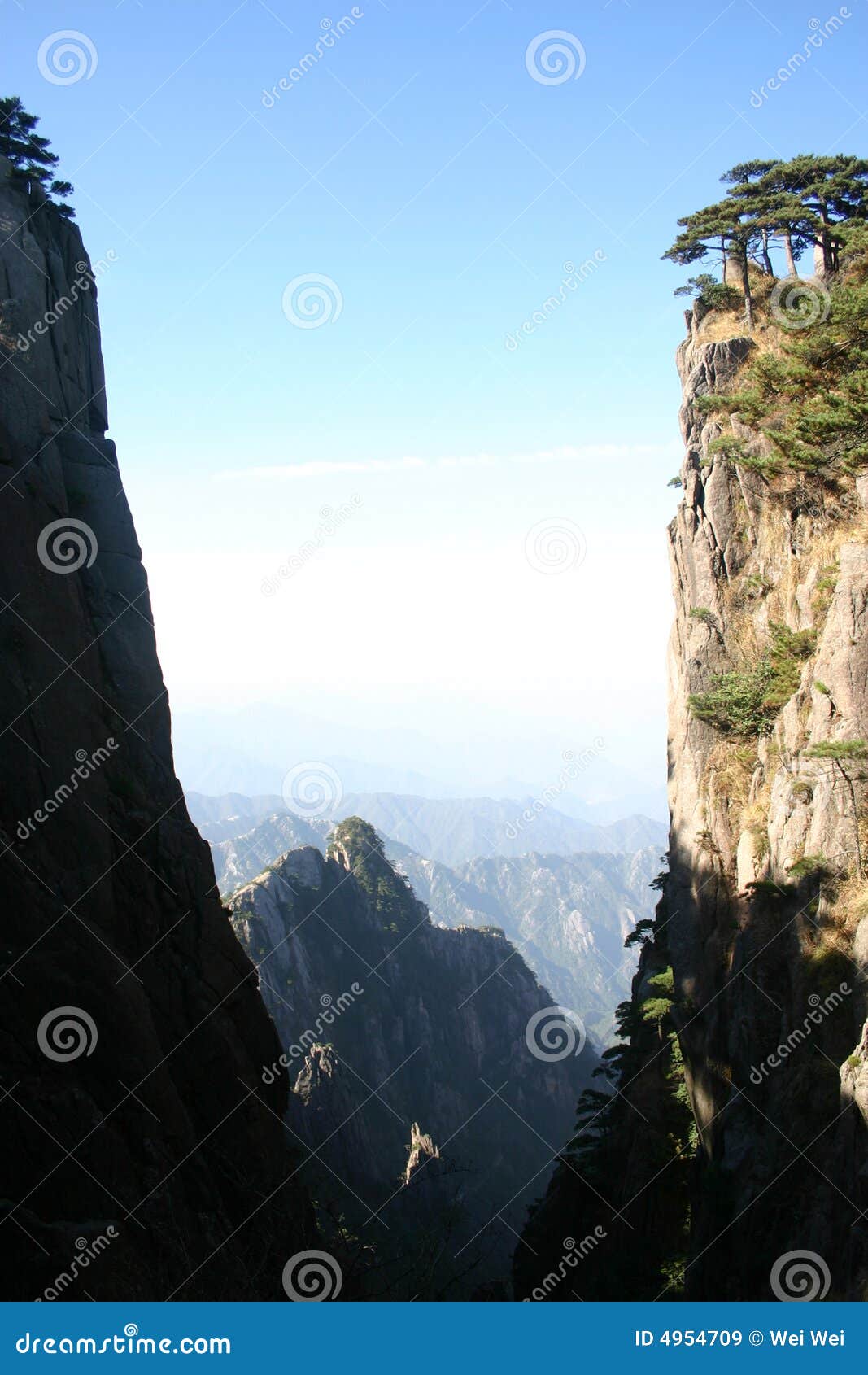 A Huge Ravine Overgrown With Trees Stock Photography | CartoonDealer ...
