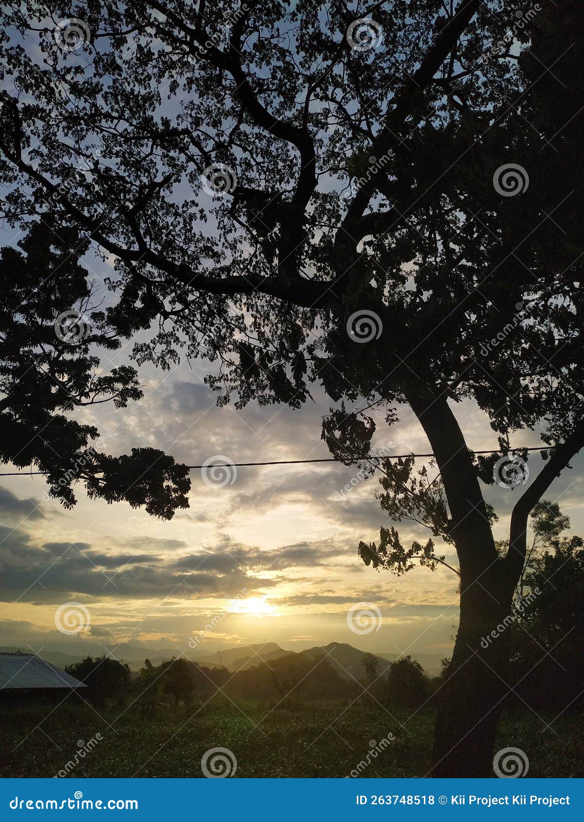 Mountain View in the Afternoon Stock Photo - Image of flower, view ...