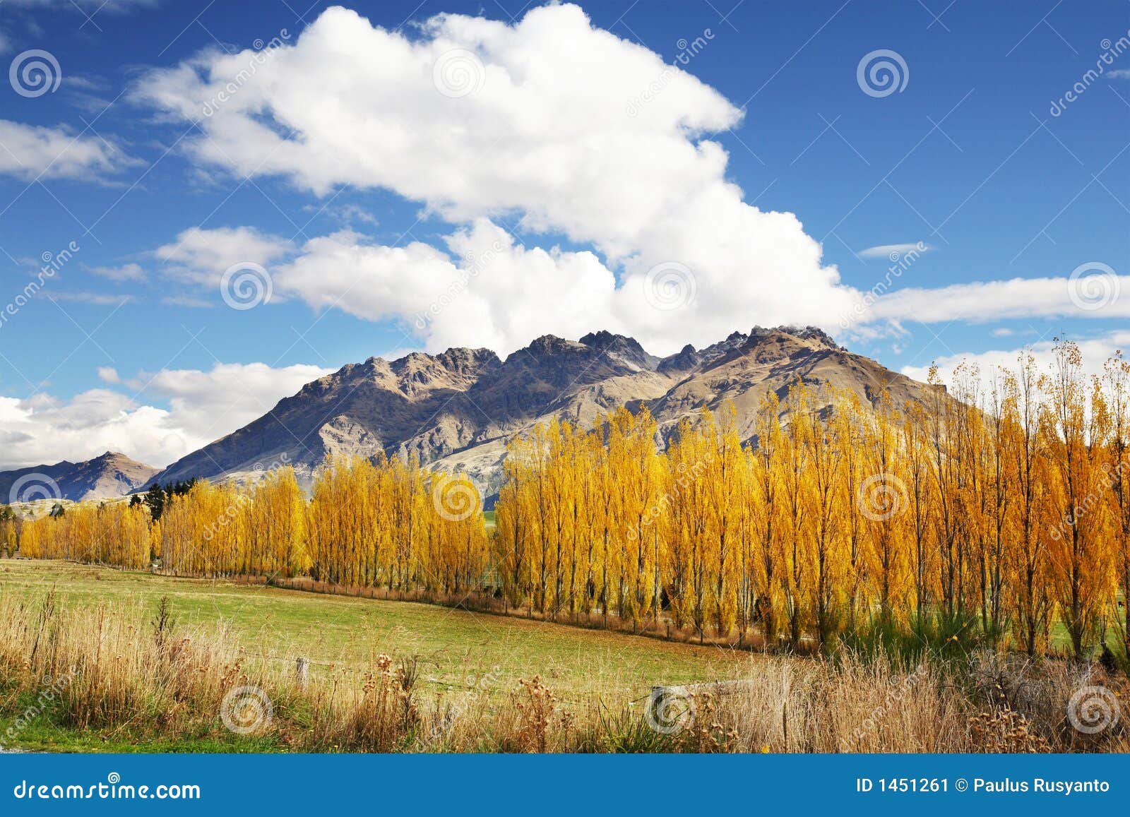 Mountain view in Autumn stock image. Image of landscape - 1451261