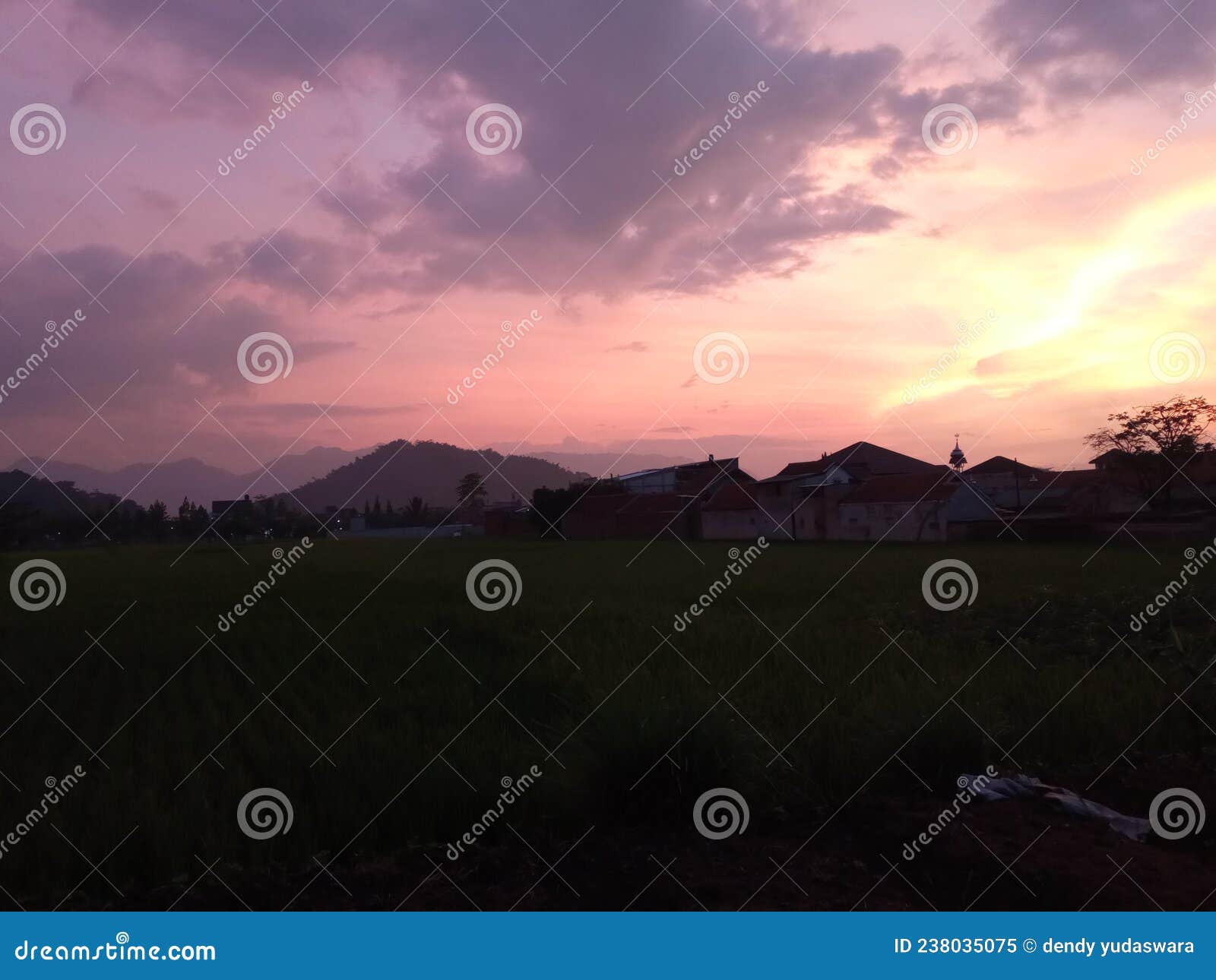 Mountain View Beautiful Nature Moment Tree Sunrise Stock Image - Image ...