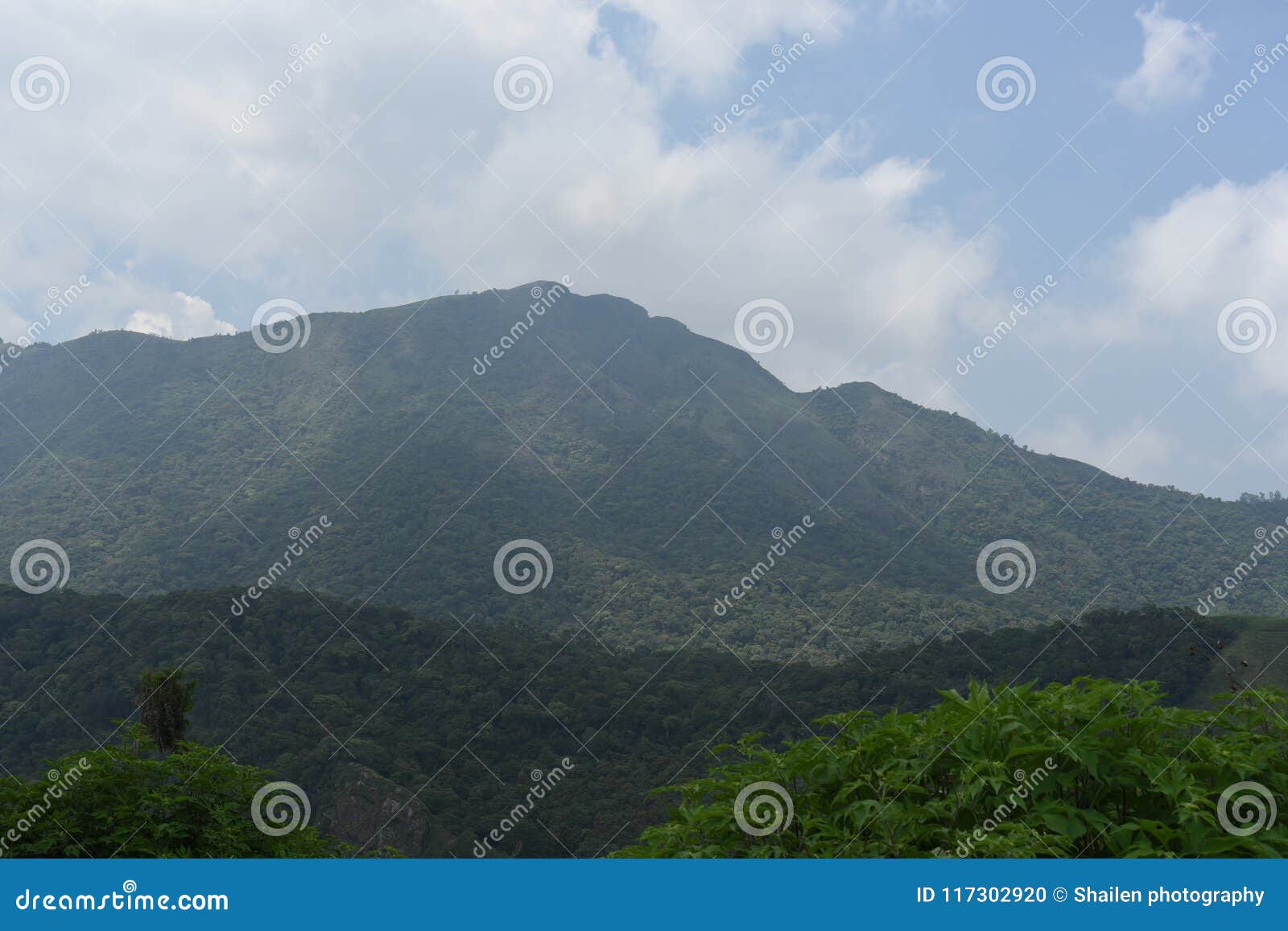 Mountain View De Munnar, Kerala, La India Foto de archivo - Imagen de ...