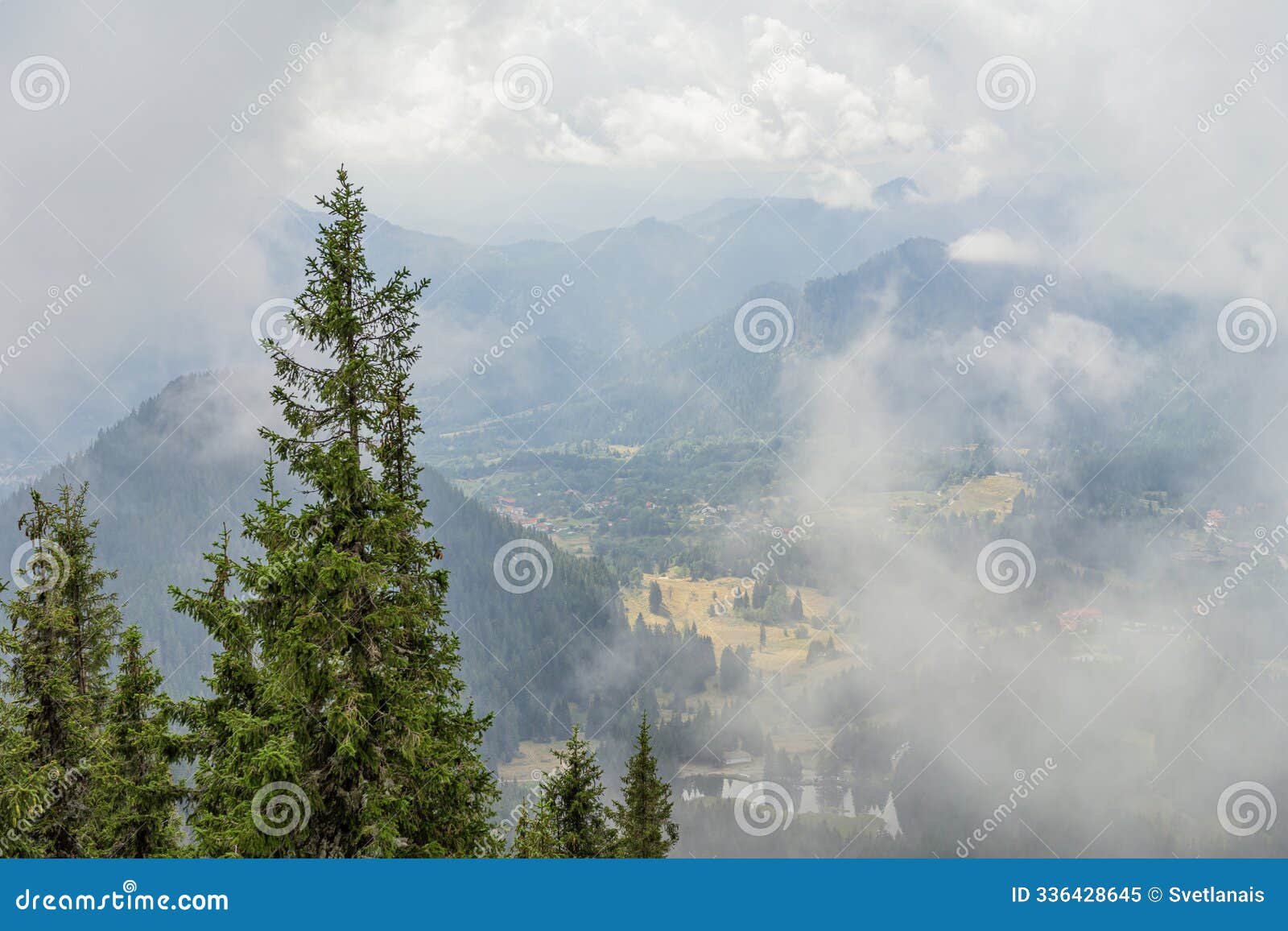 Top View Of Dense Rainforest. Thick Tropical Rainforest. Green Palm ...