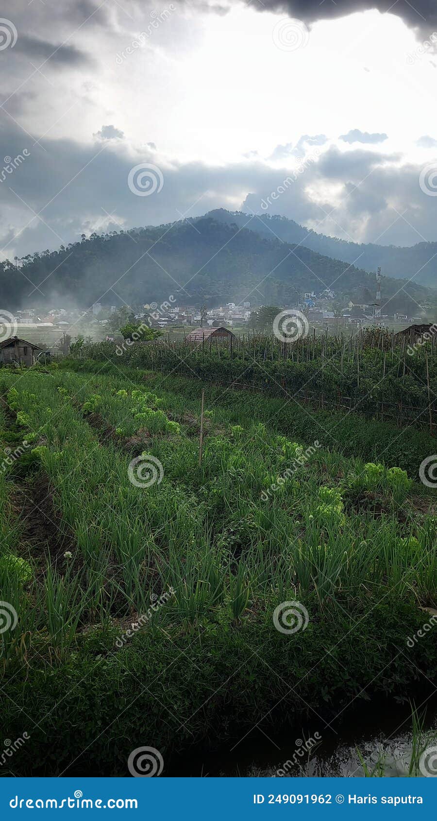 Panderman Mountain View when Fog Falls in the Afternoon in Malang Batu ...