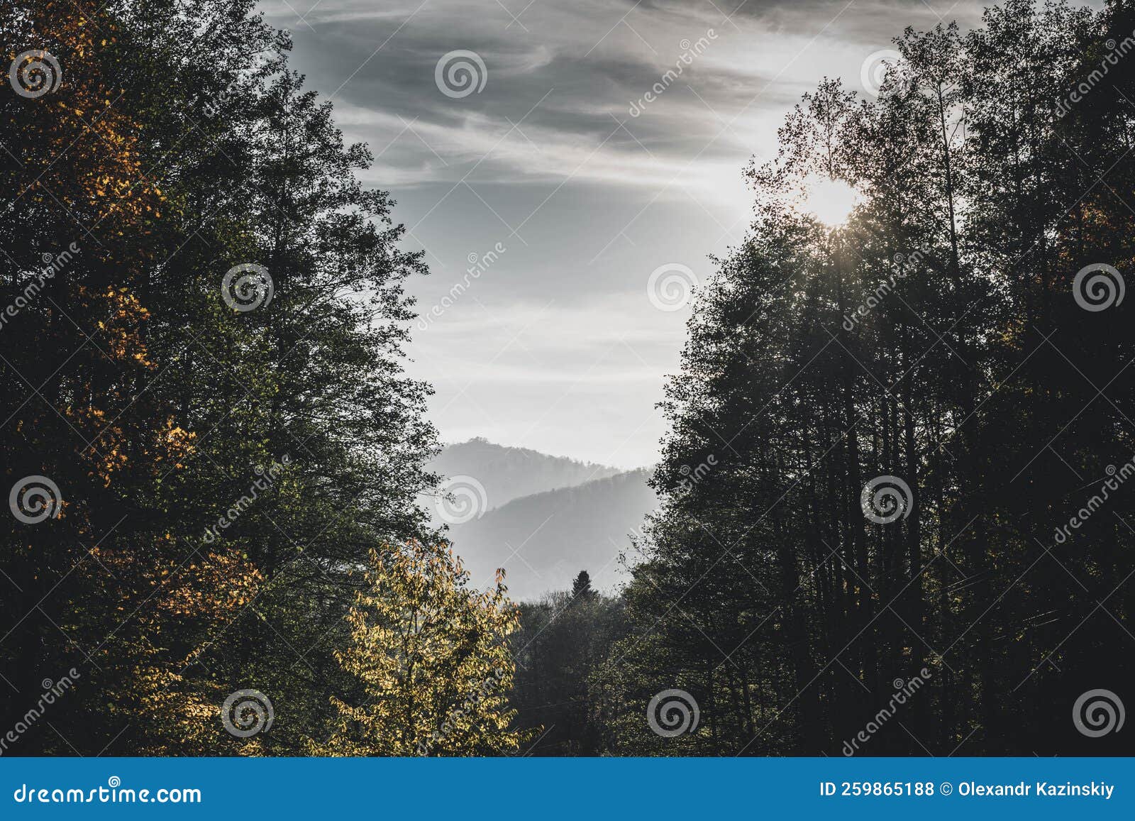 Mountain View from the Forest, Incredible Wildlife Stock Photo - Image ...
