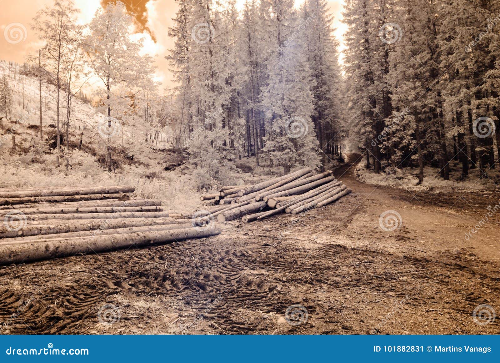 Mountain View from Forest. Infrared Image Stock Image - Image of heat ...