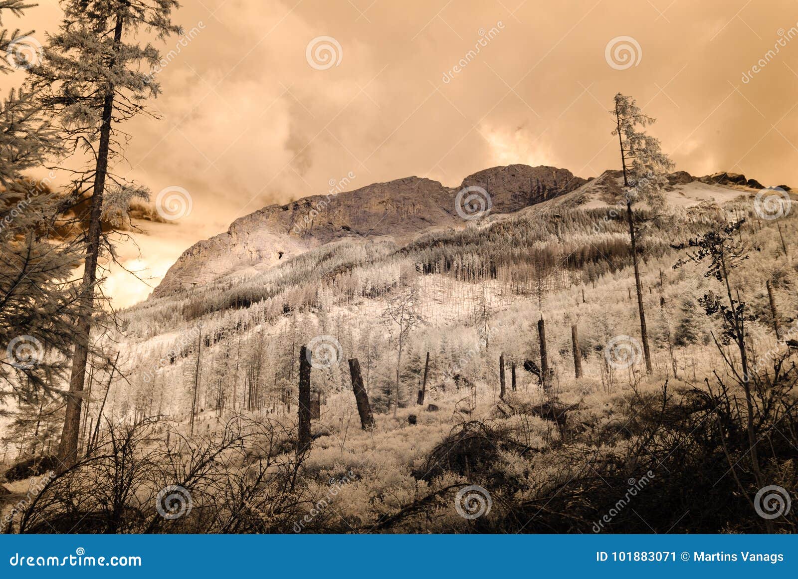 Mountain View from Forest. Infrared Image Stock Image - Image of active ...
