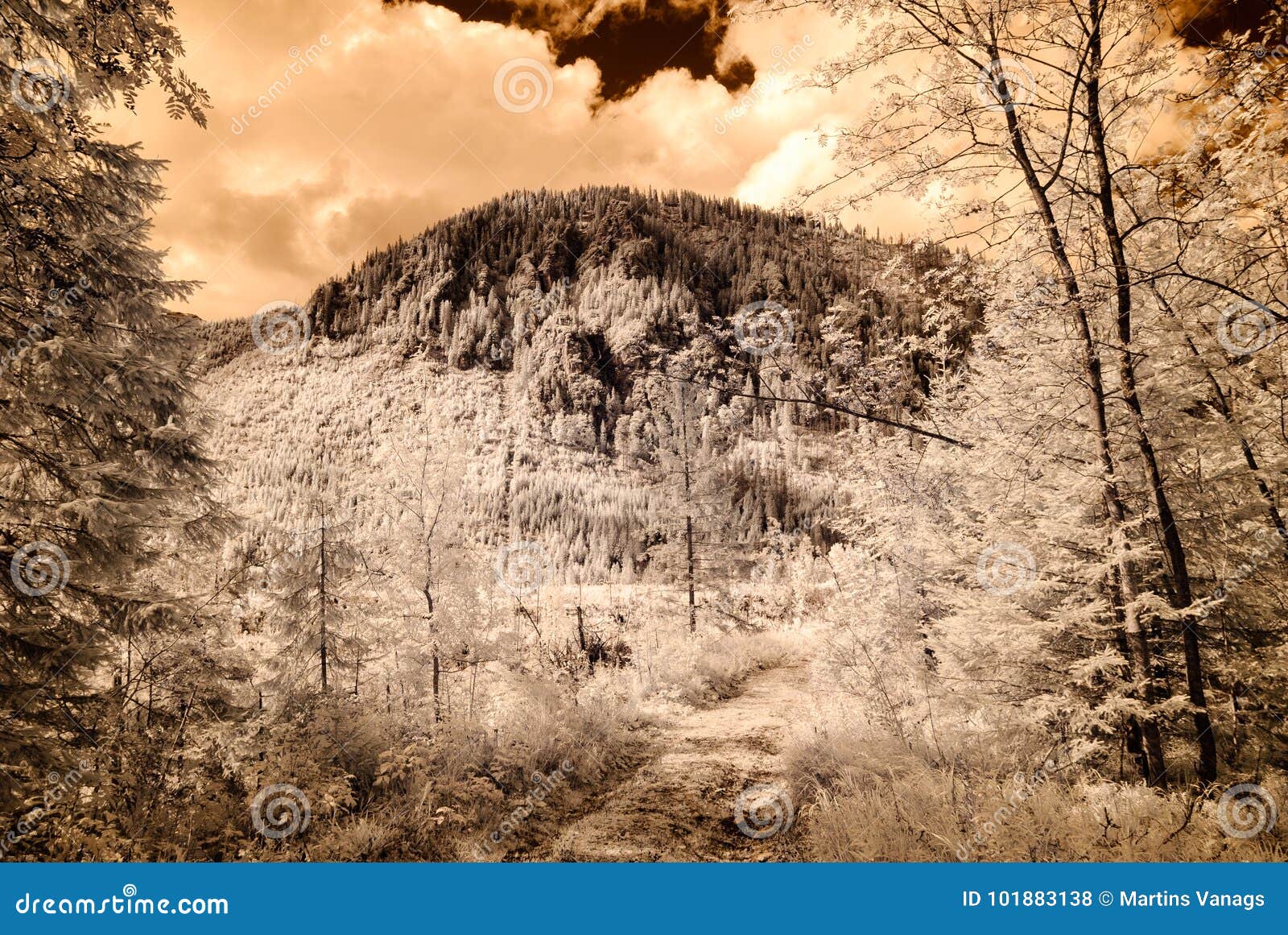 Mountain View from Forest. Infrared Image Stock Photo - Image of ...