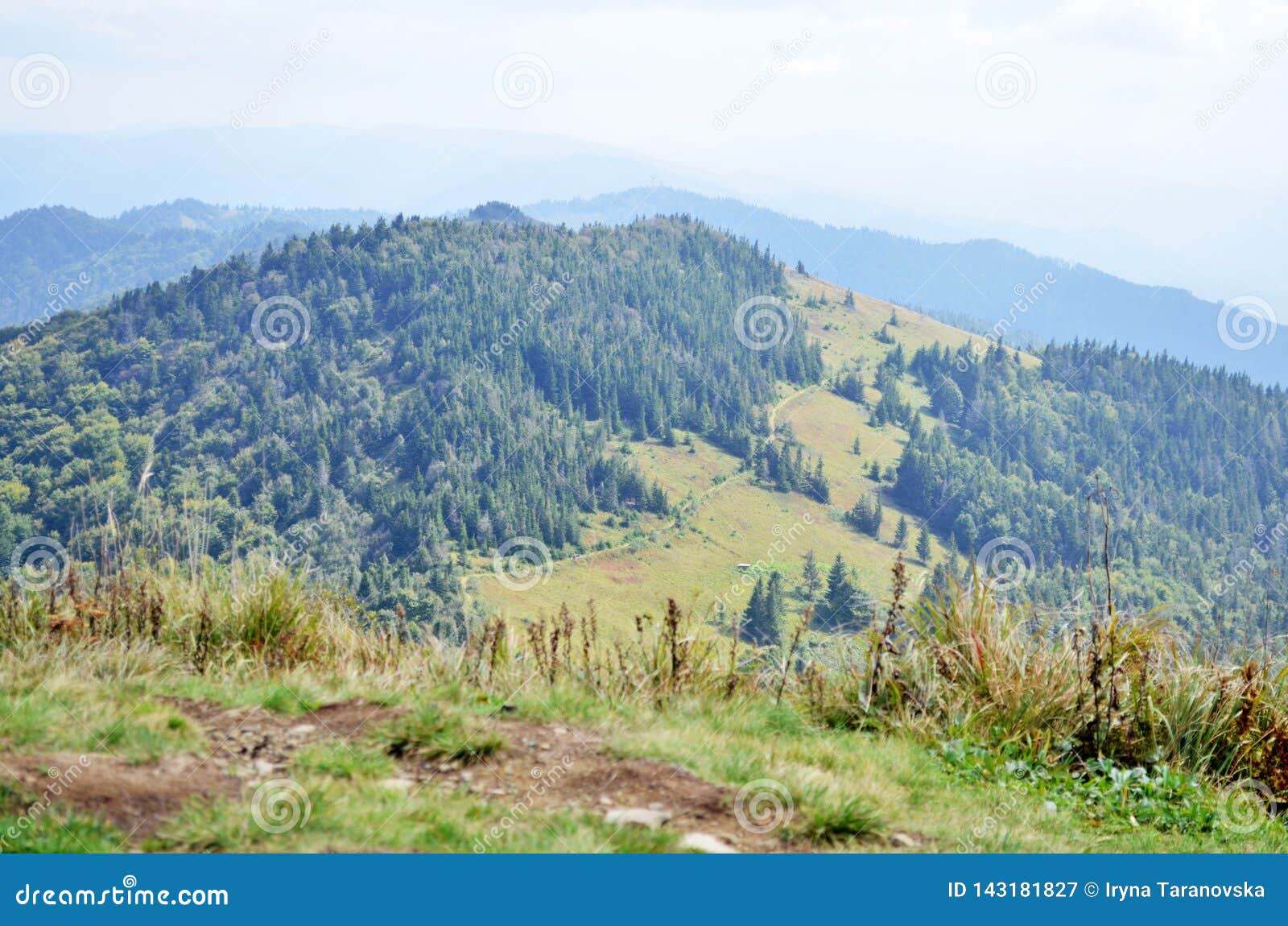 Mountain View of the Forest and the Path on the Side of the Mountain ...
