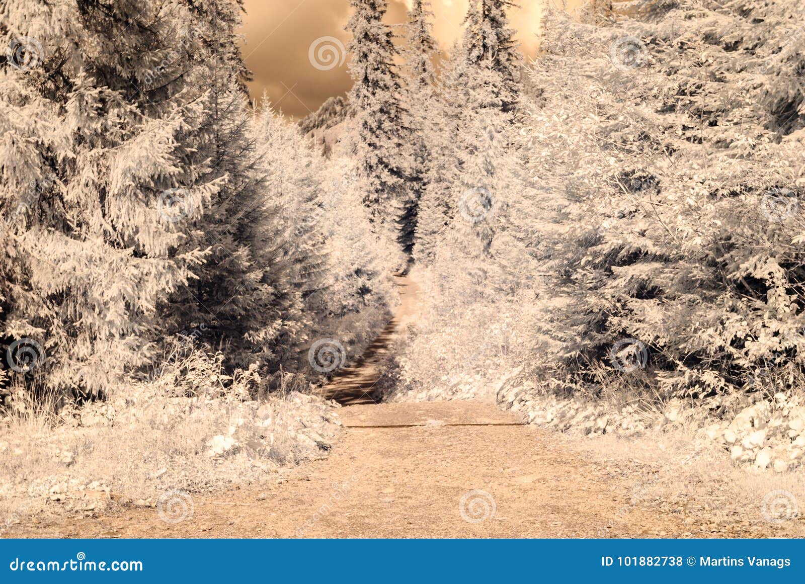 Mountain View from Forest. Infrared Image Stock Photo - Image of grass ...