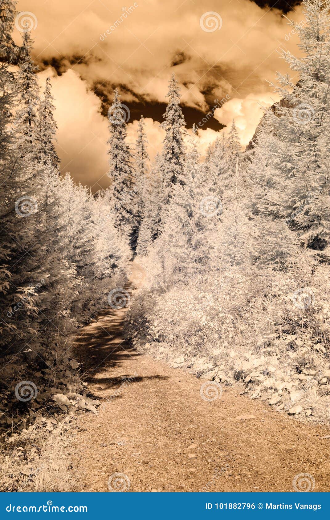 Mountain View from Forest. Infrared Image Stock Photo - Image of ...