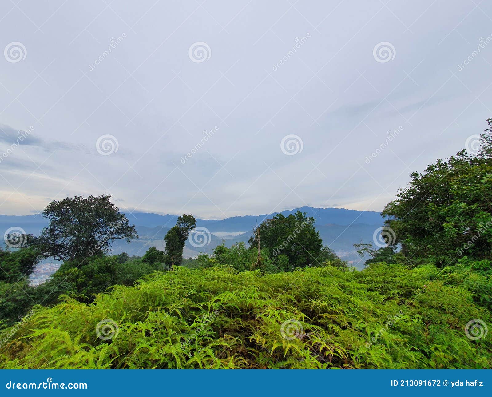 MOUNTAIN VIEW MAKING CHILL stock photo. Image of plant - 213091672