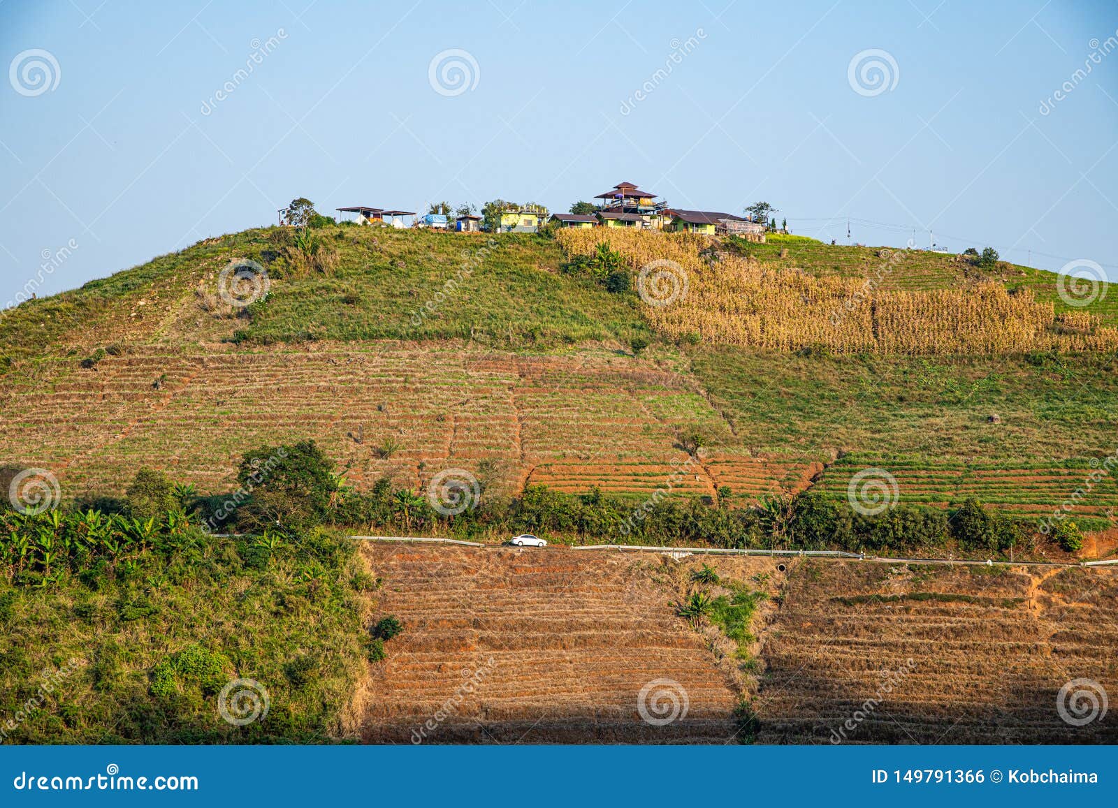 The Mountain View at Mon Cham Stock Photo - Image of moncham, forest ...