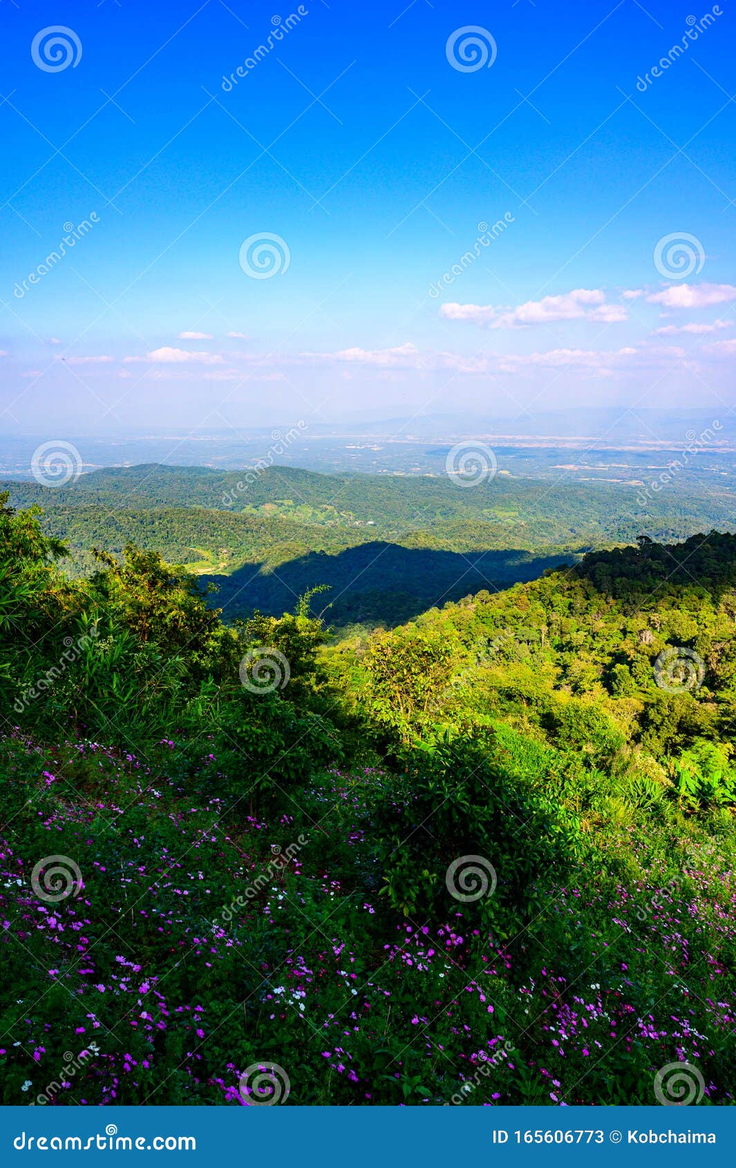 Mountain View at Mon Cham Viewpoint Stock Image - Image of asia, garden ...