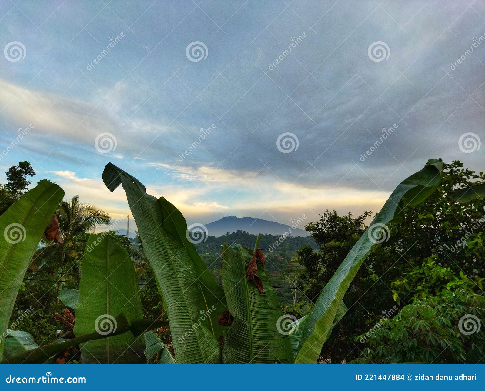 Mountain View in the Morning from Backyard Stock Photo - Image of view ...