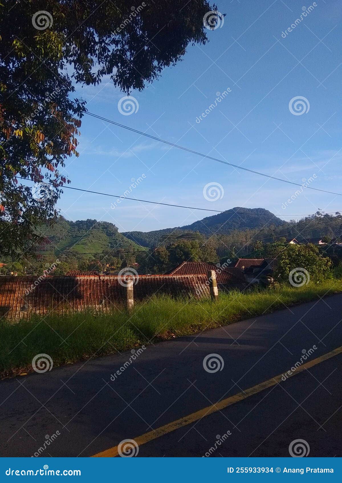 Mountain view stock photo. Image of roadside, view, hill - 255933934