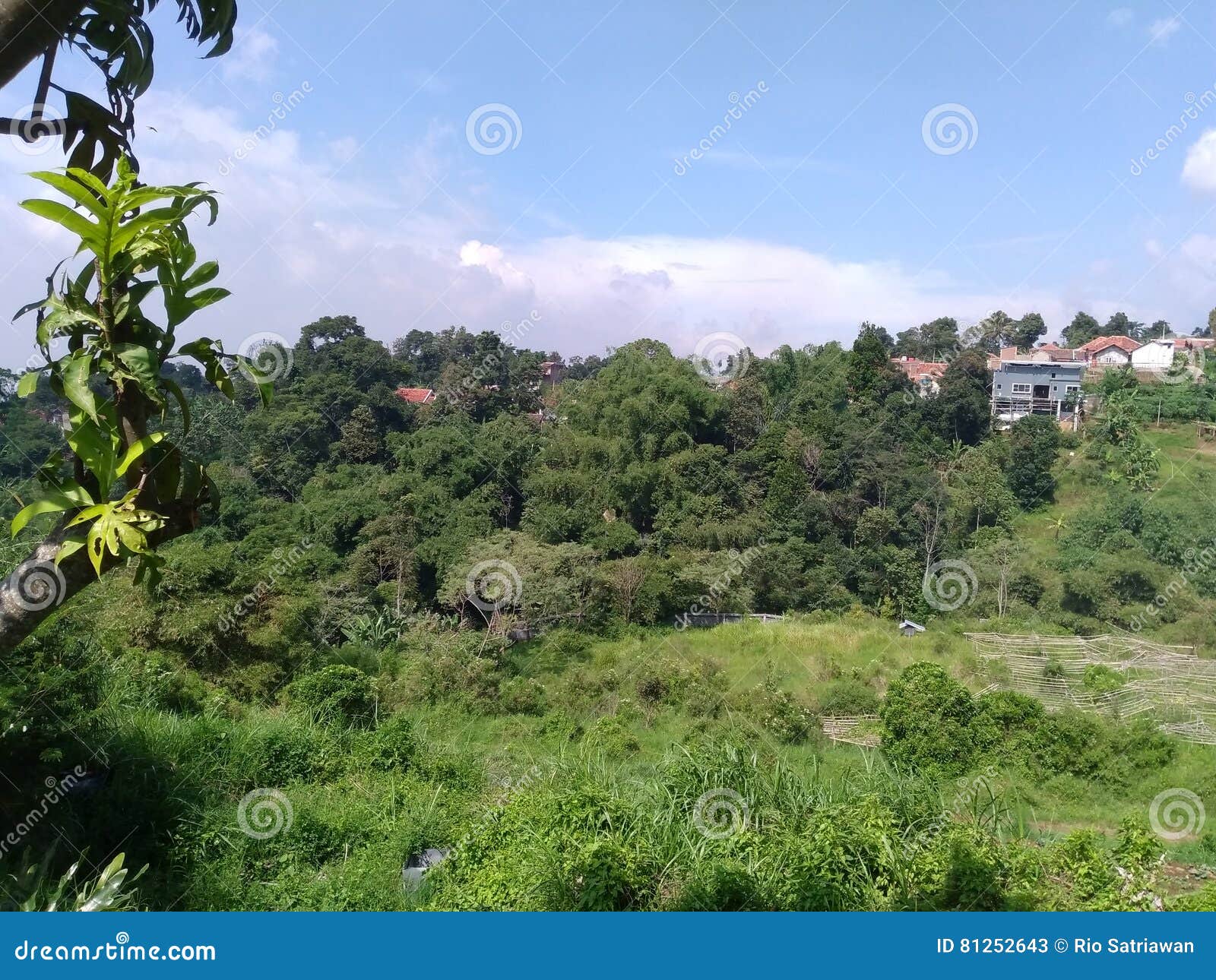 Mountain view scene stock image. Image of mountain, view - 81252643