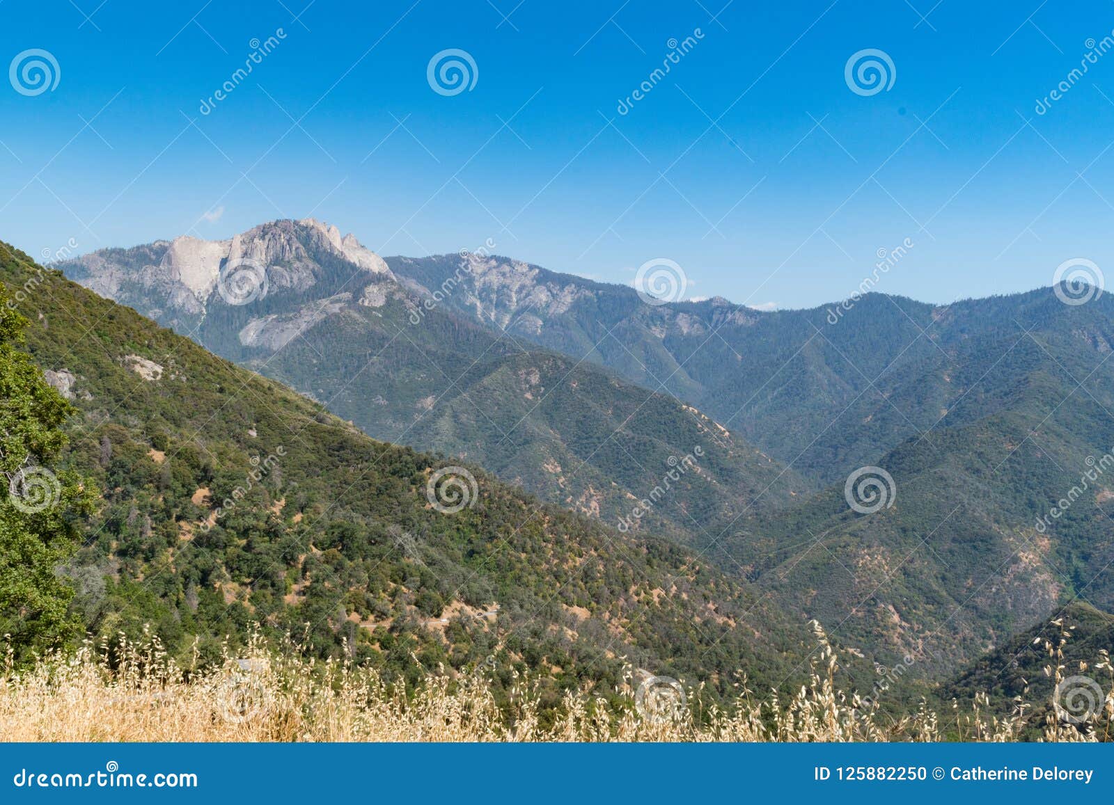 Mountain View in Sequoia National Park Stock Photo - Image of pine ...
