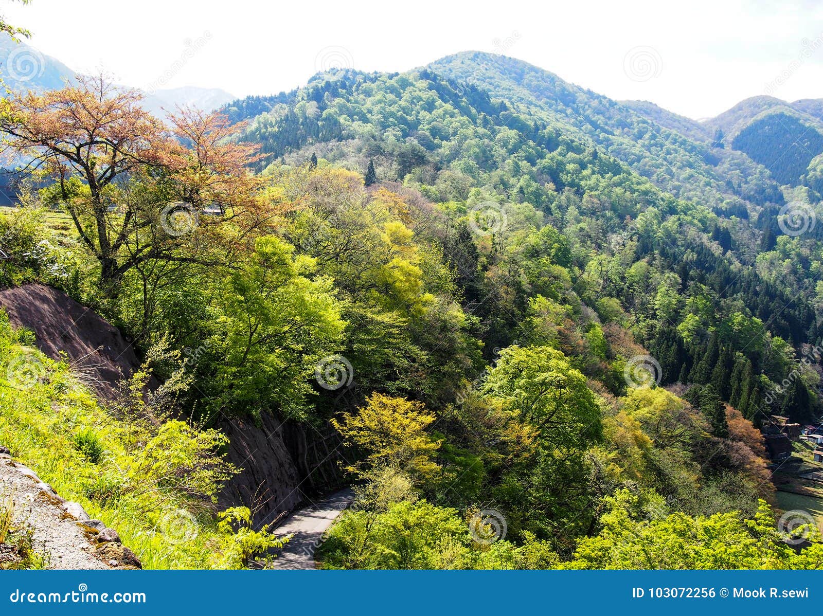 Spring mountain view stock photo. Image of view, japan - 103072256