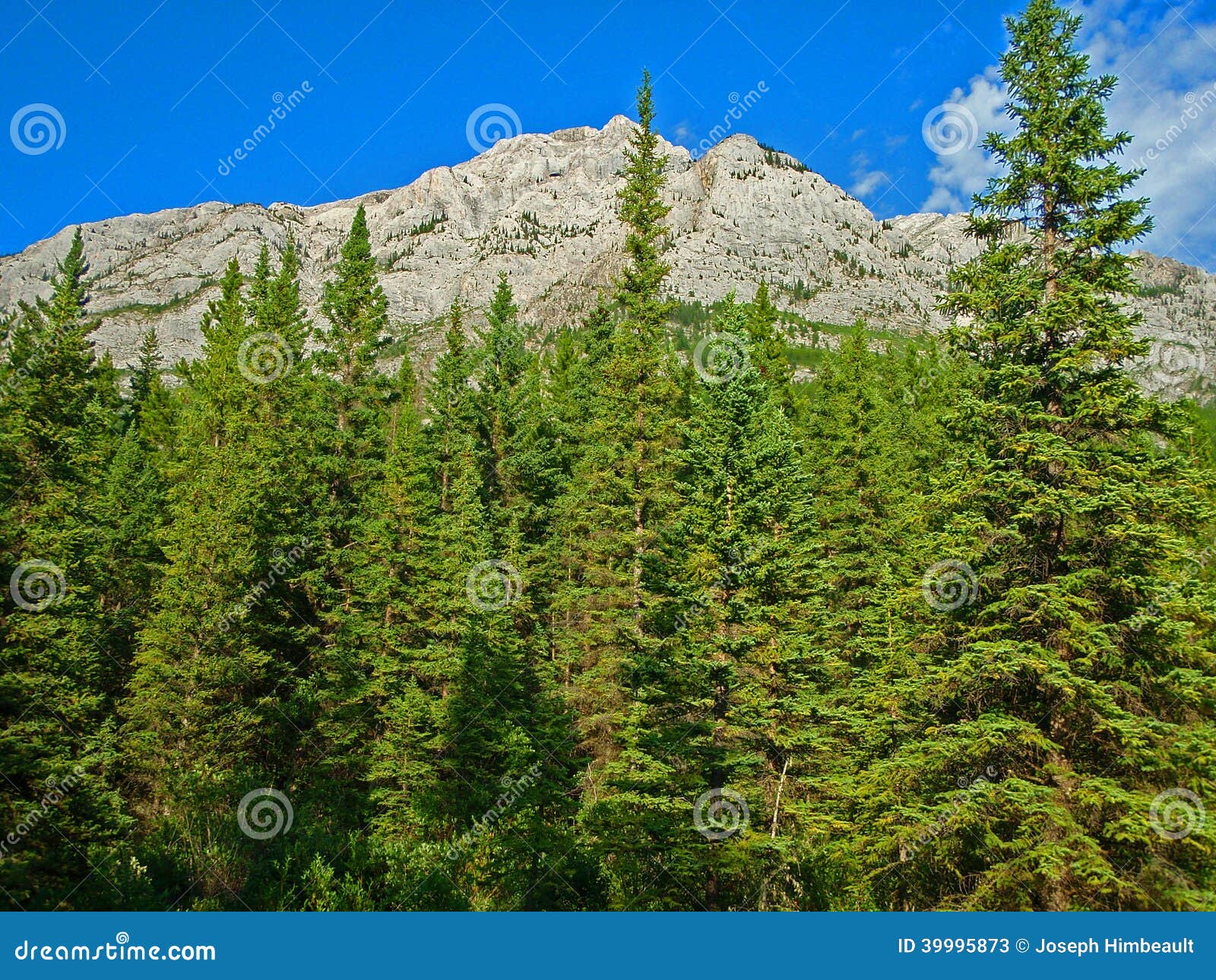 Mountain View stock image. Image of outdoors, range, forest - 39995873