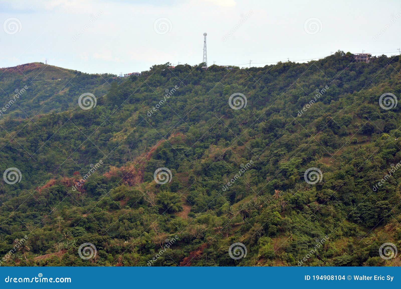 Mountain View with Trees and Leaves during Daytime Stock Photo - Image ...