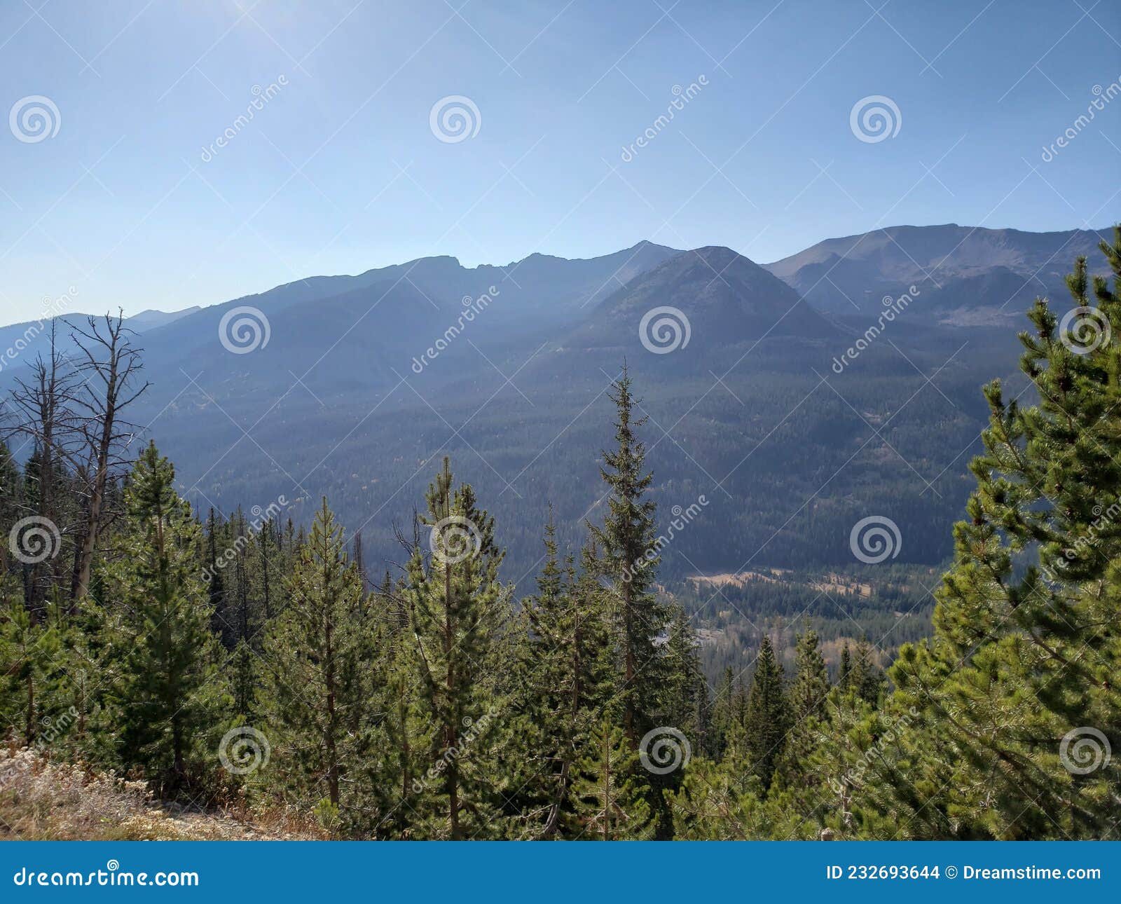 Mountain view trees stock photo. Image of trail, landscape - 232693644