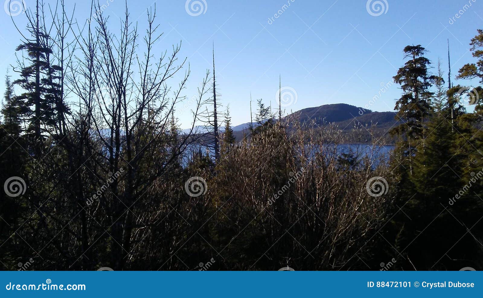 Mountain view stock image. Image of trees, blue, view - 88472101