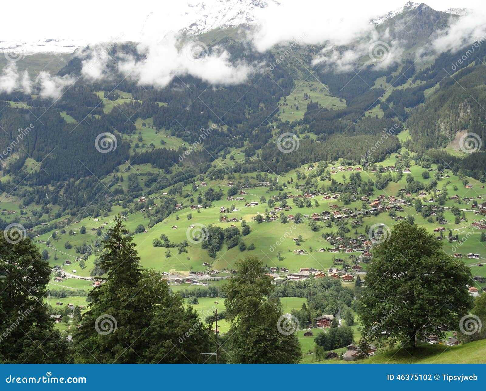Mountain view stock photo. Image of switserland, mountain - 46375102