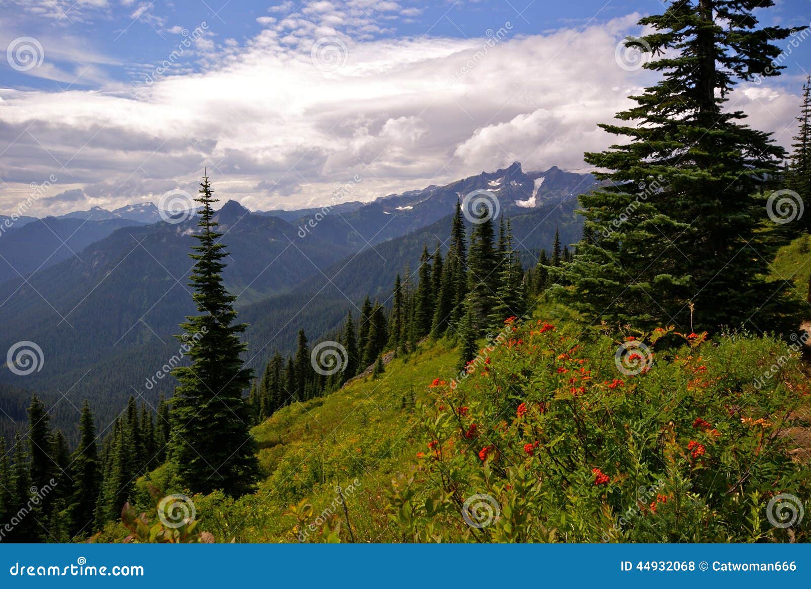 Mountain View in Washington State Stock Photo - Image of park ...
