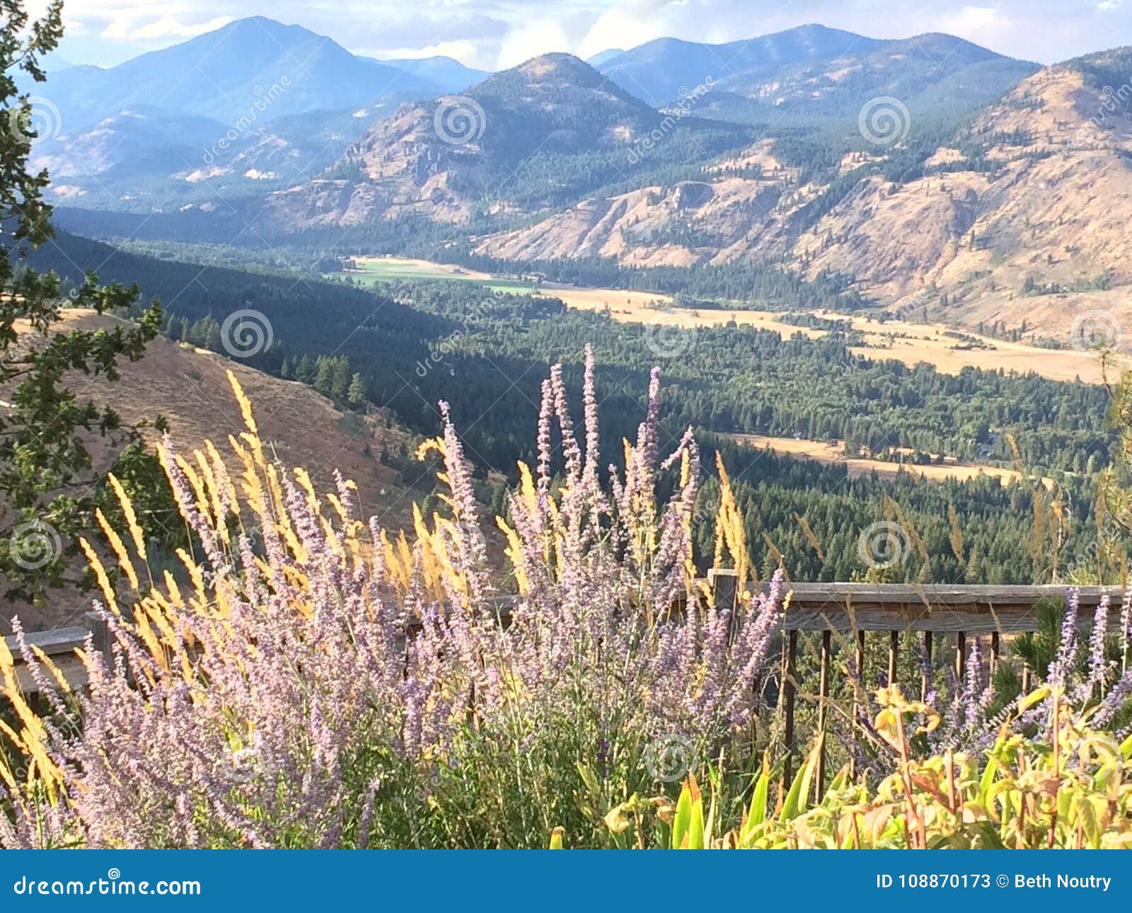 Mountain View stock image. Image of washington, state - 108870173