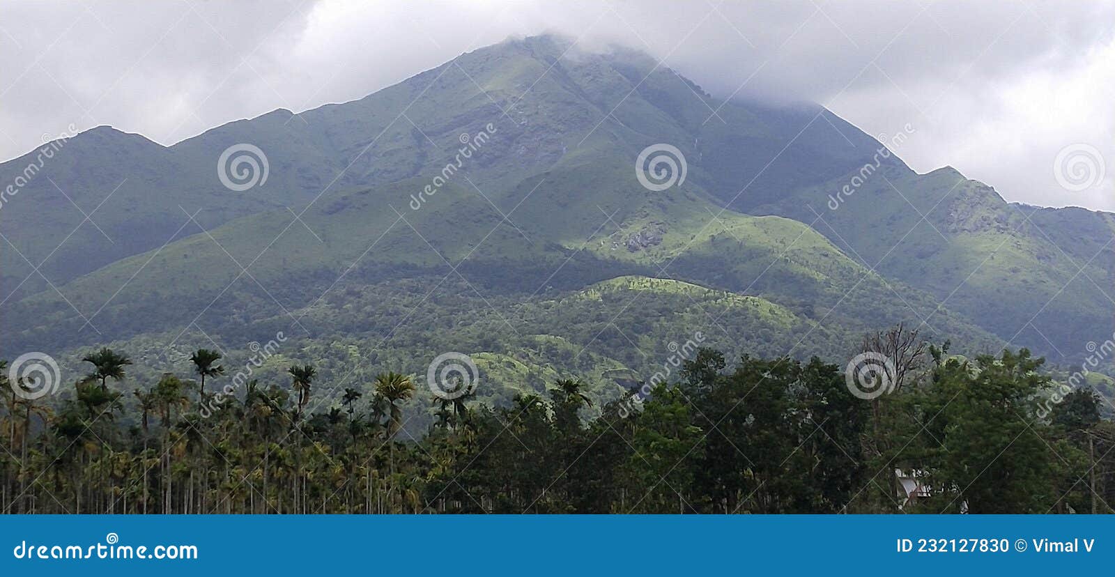 Mountain view Wayanad stock photo. Image of valley, nature - 232127830