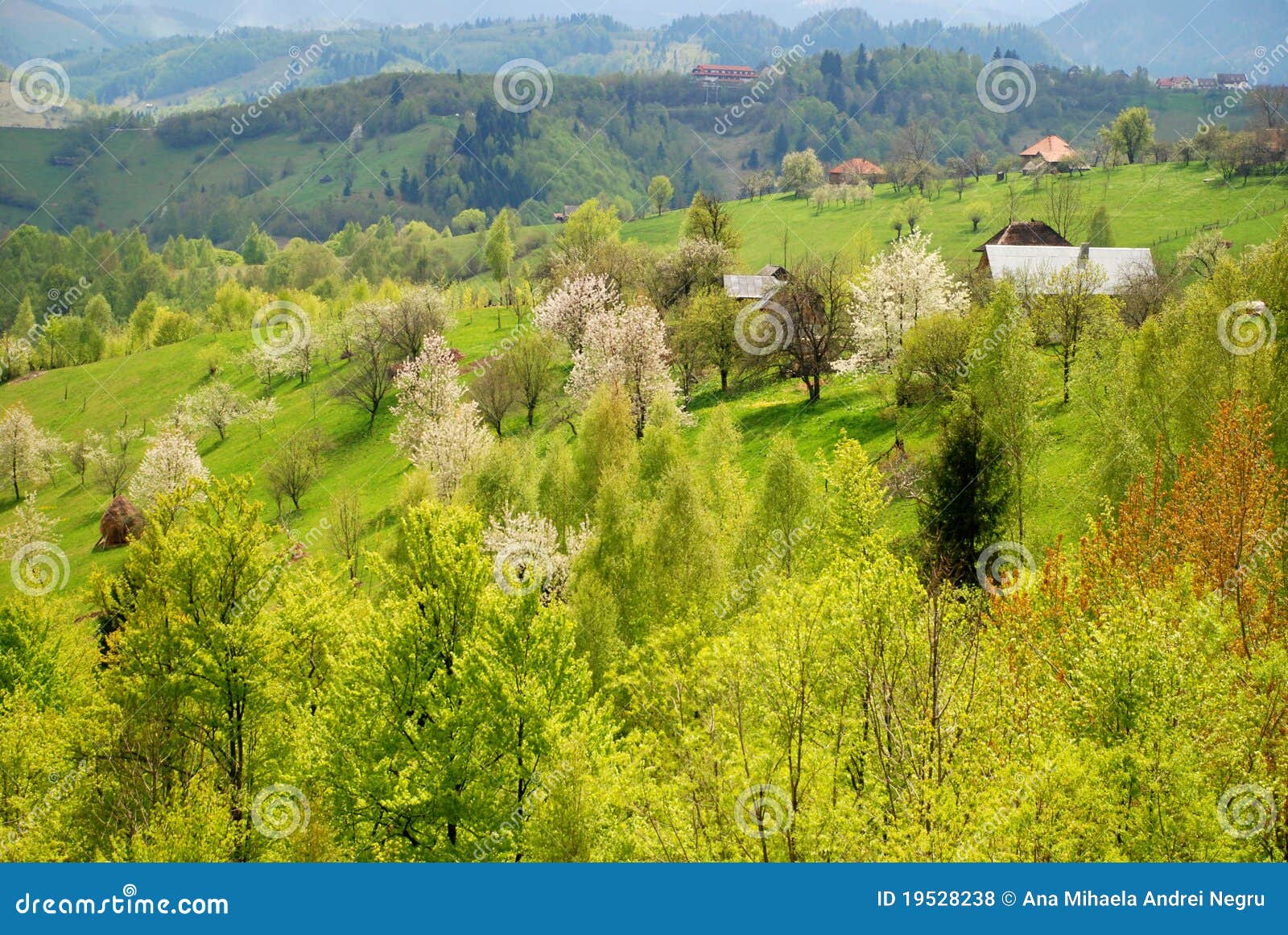 Mountain village on spring stock photo. Image of bright - 19528238