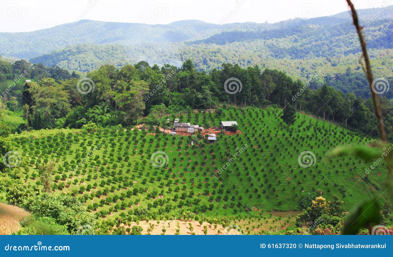 Mountain and village stock photo. Image of topography - 61637320