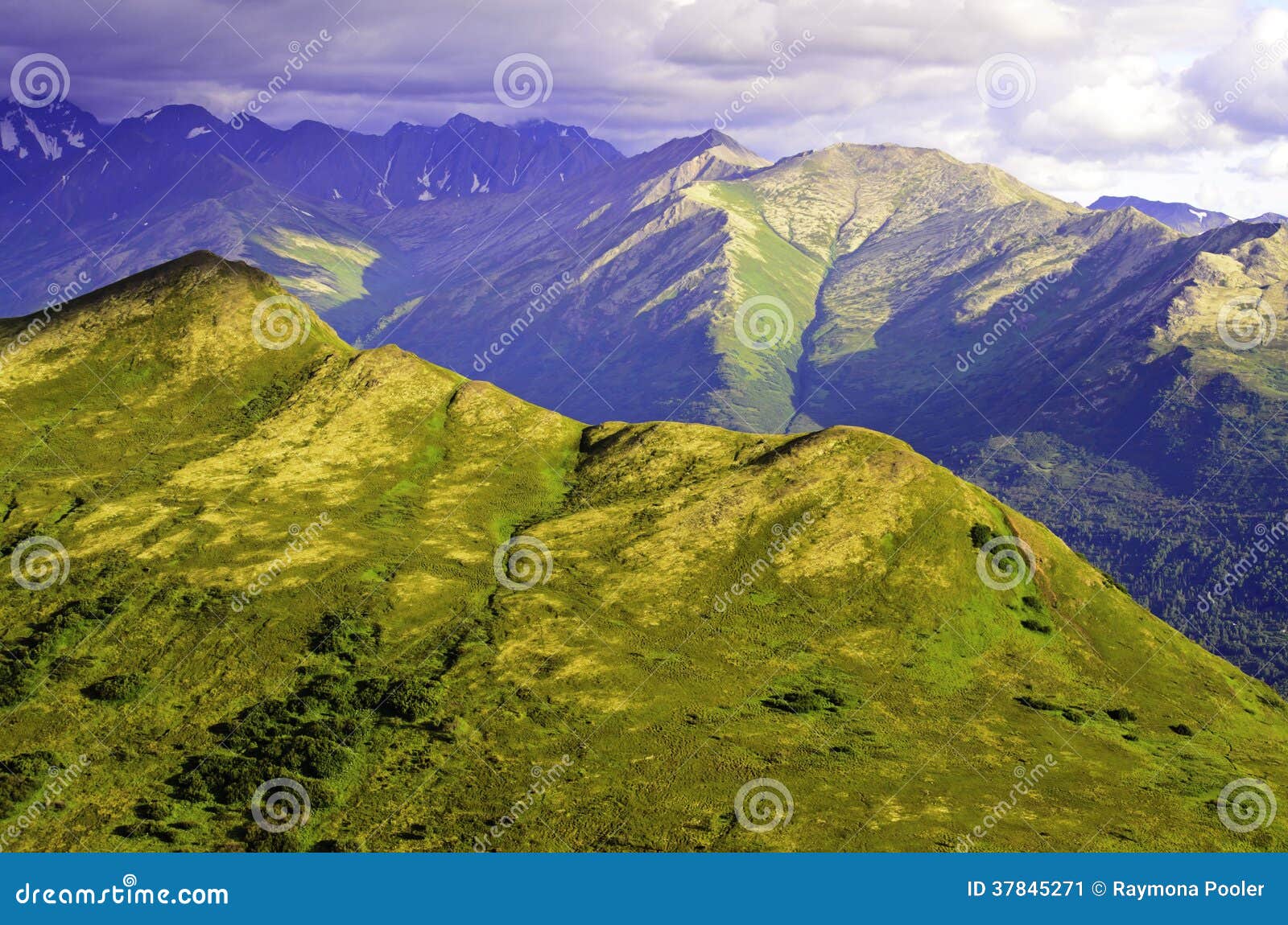 Mountain vista view stock image. Image of petal, inlet - 37845271