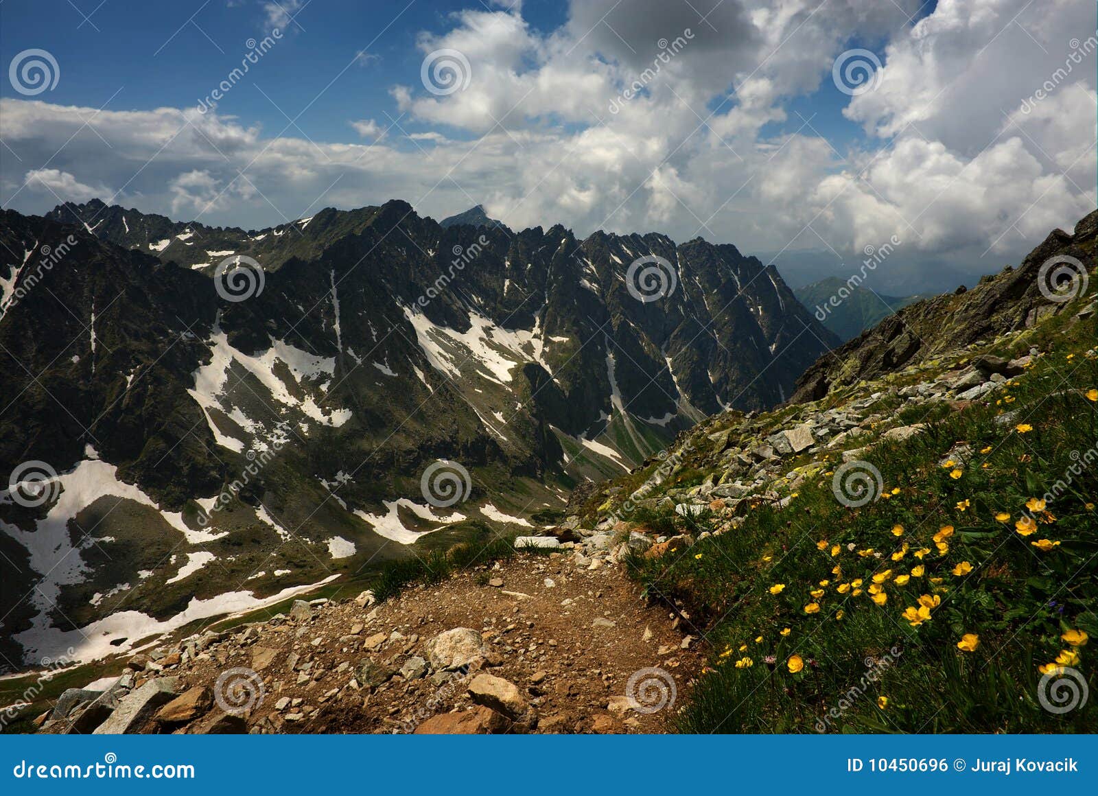 Mountain Walking Path with Yellow Flowers Stock Photo - Image of ...