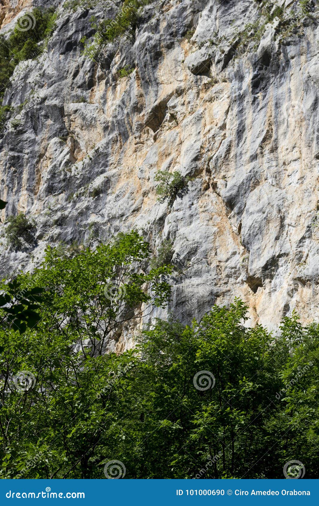 Mountain wall stock photo. Image of landscape, geology - 101000690