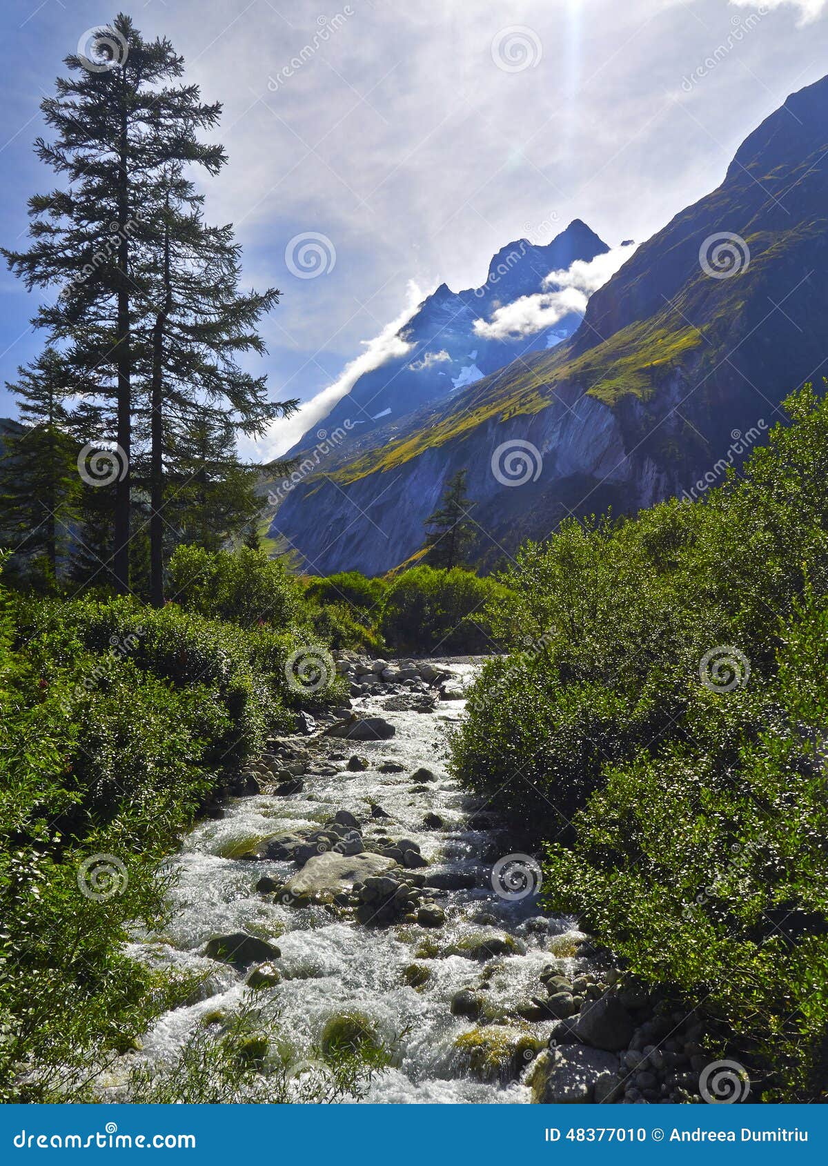 Mountain Water Source stock photo. Image of obesity, forest - 48377010