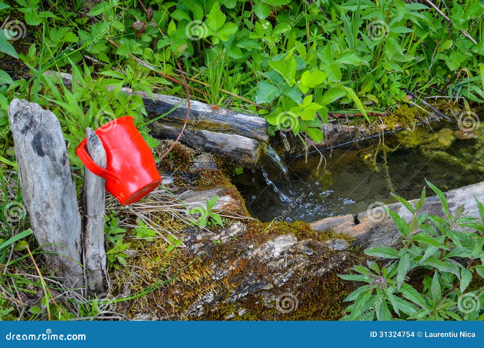 Mountain water source stock photo. Image of colorful - 31324754