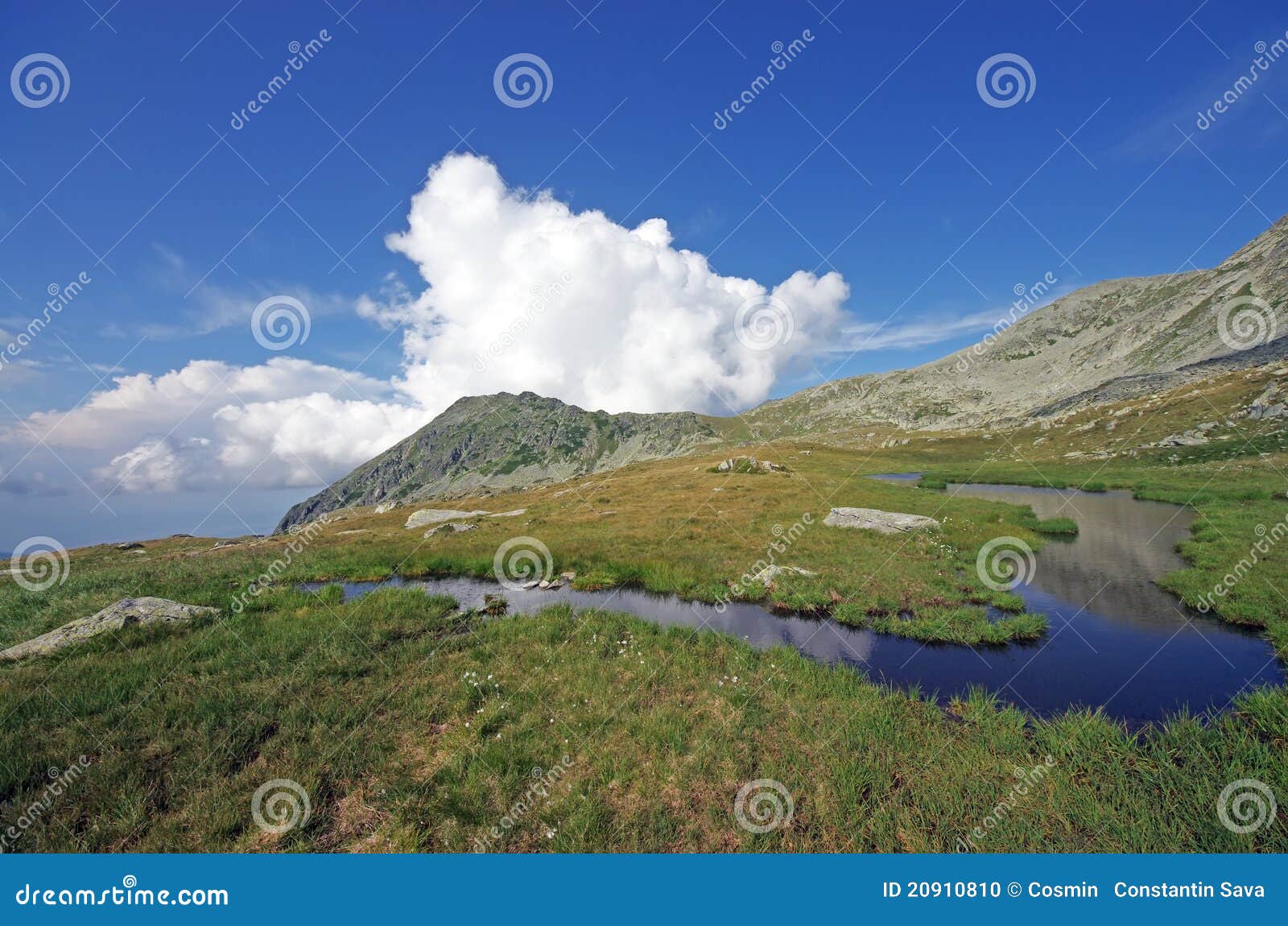 Mountain water spring stock photo. Image of clean, green - 20910810