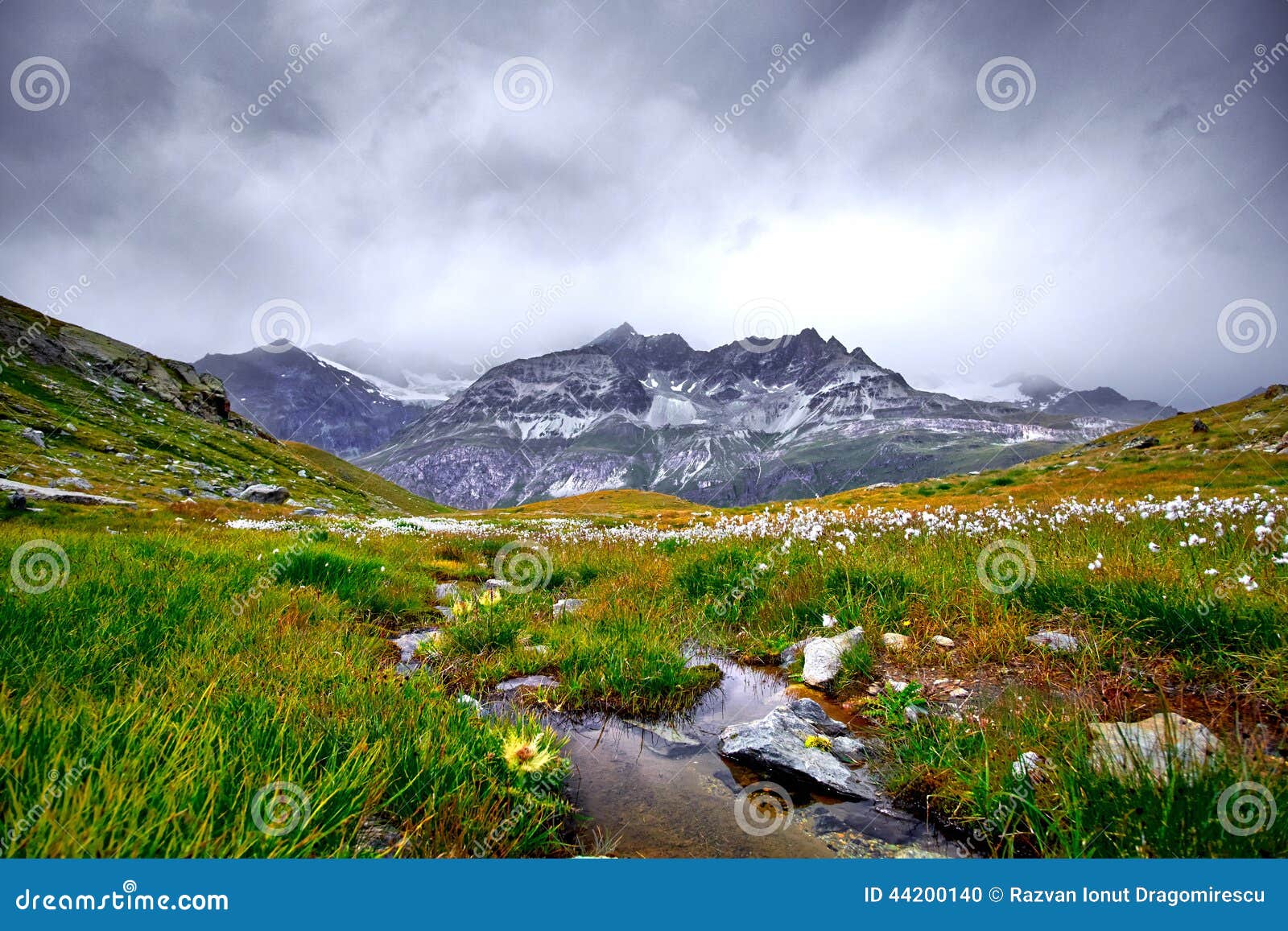 Mountain Water Stream stock photo. Image of green, nature - 44200140