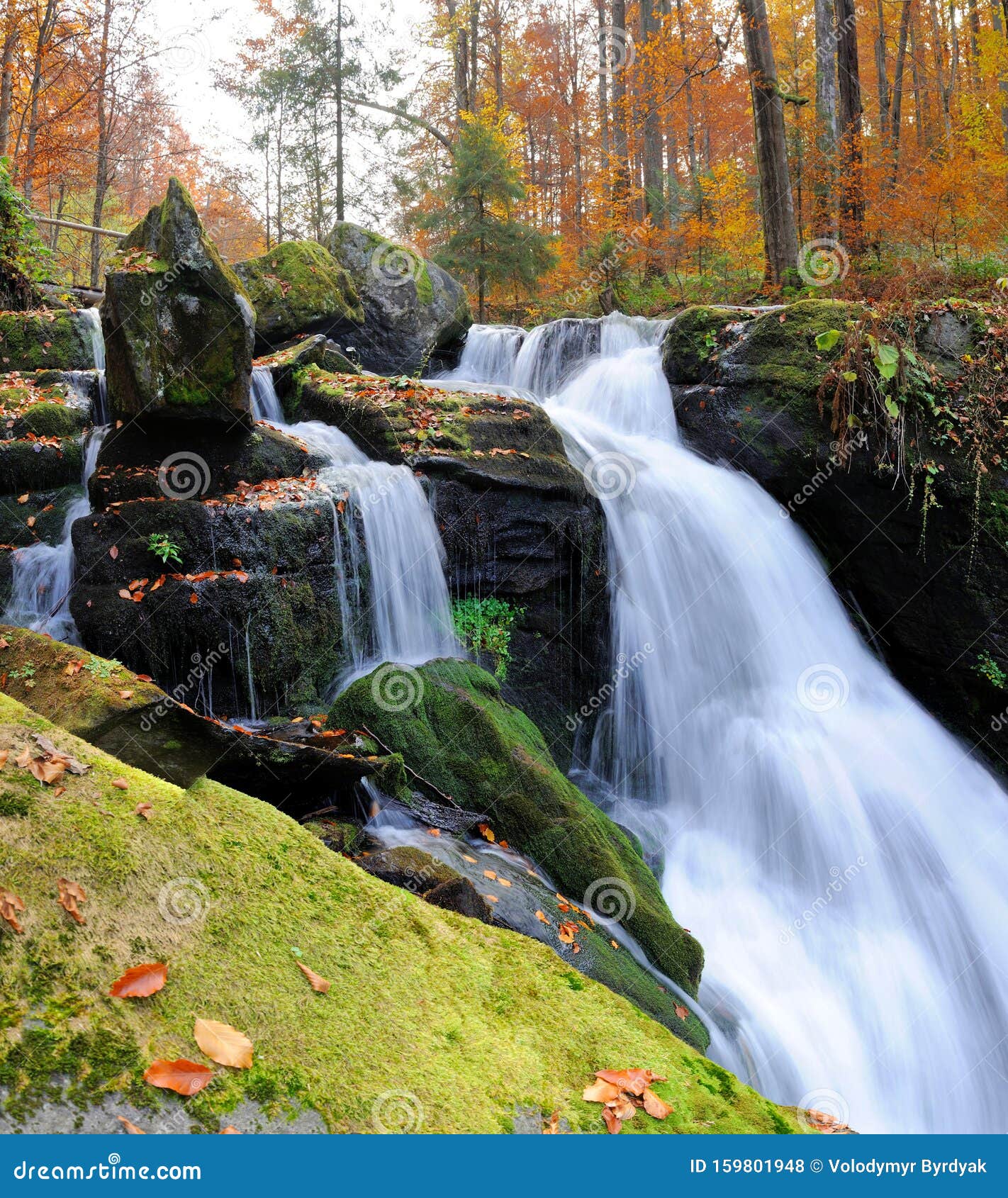 Mountain Waterfall in Autumn Forest Stock Photo - Image of creek ...