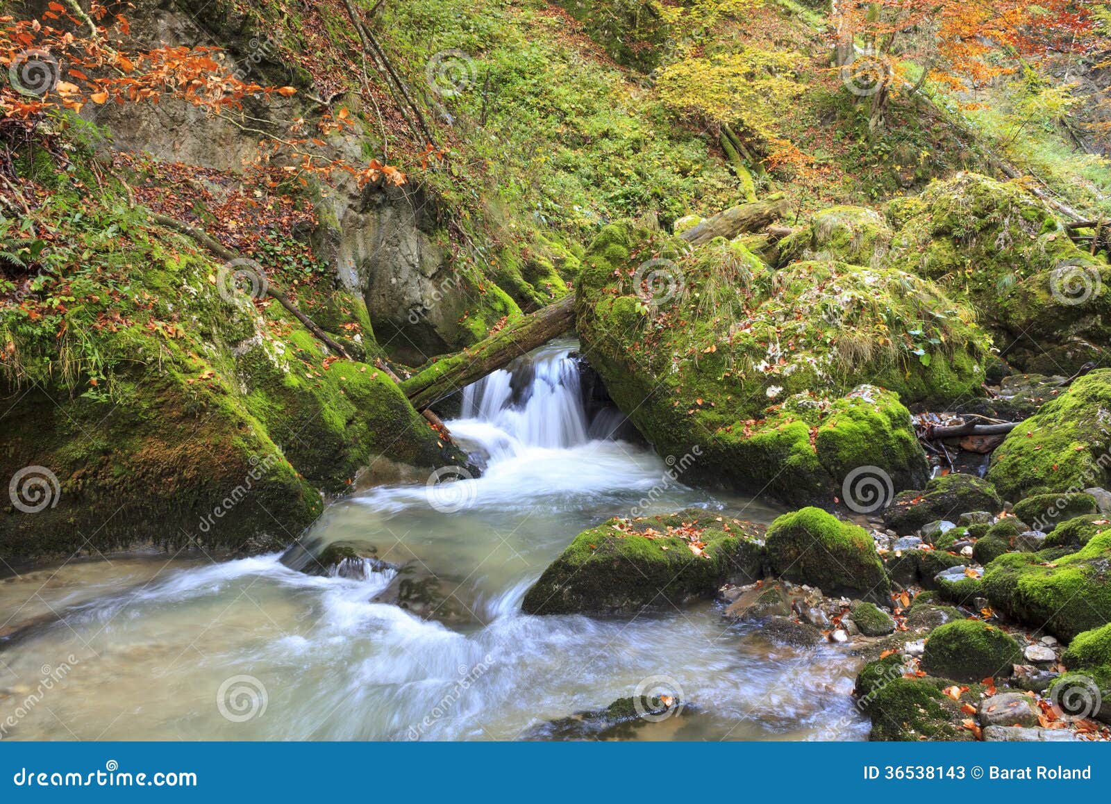 Mountain Waterfall. Fast Stream Water Stock Image - Image of creek ...