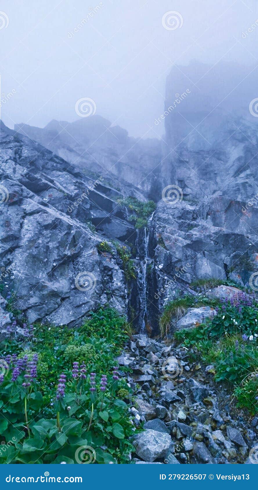 Mountain Waterfall in Fog and Flowers Around Stock Image - Image of ...